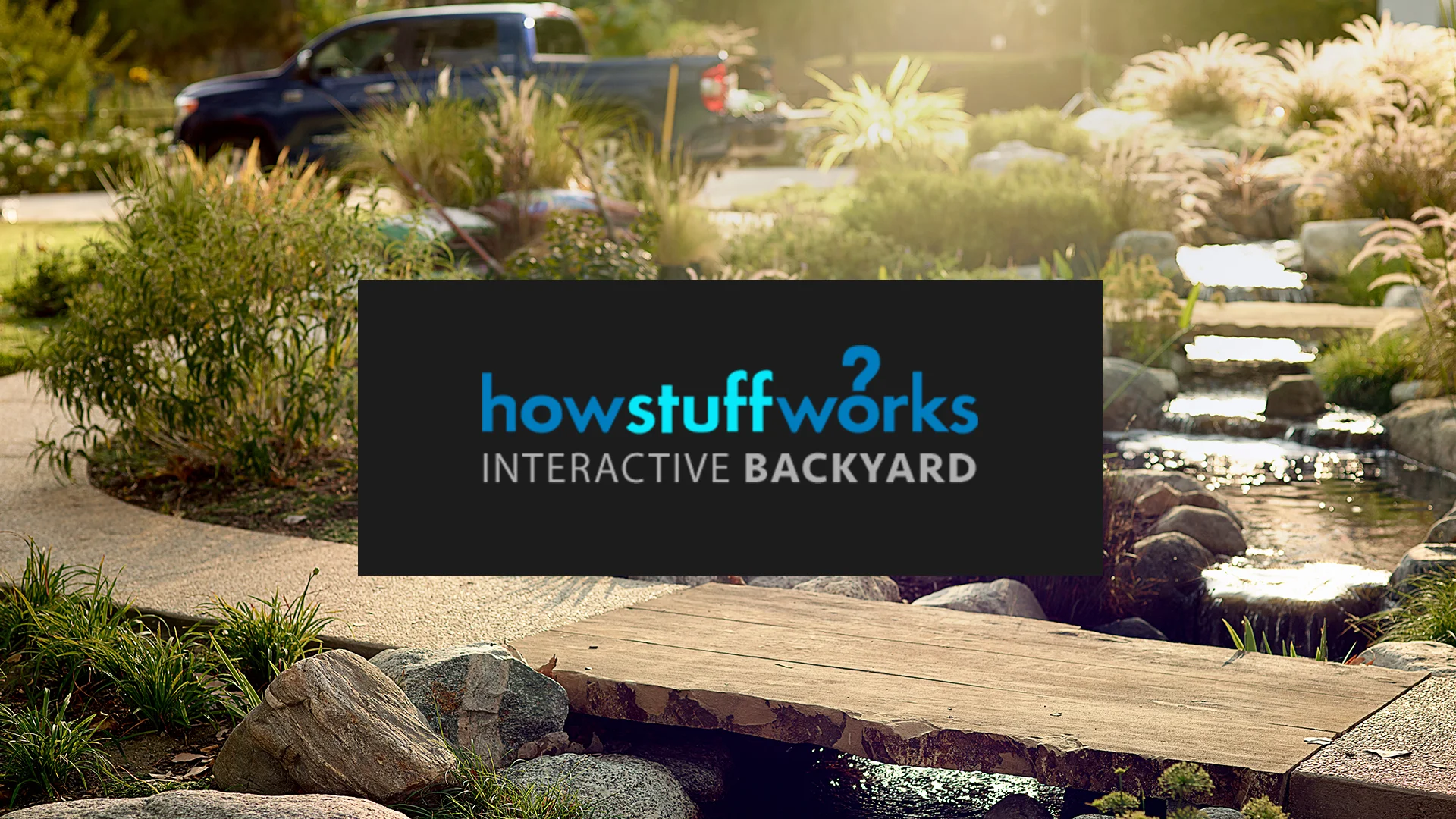 Interactive Backyard — Leigh Solomon