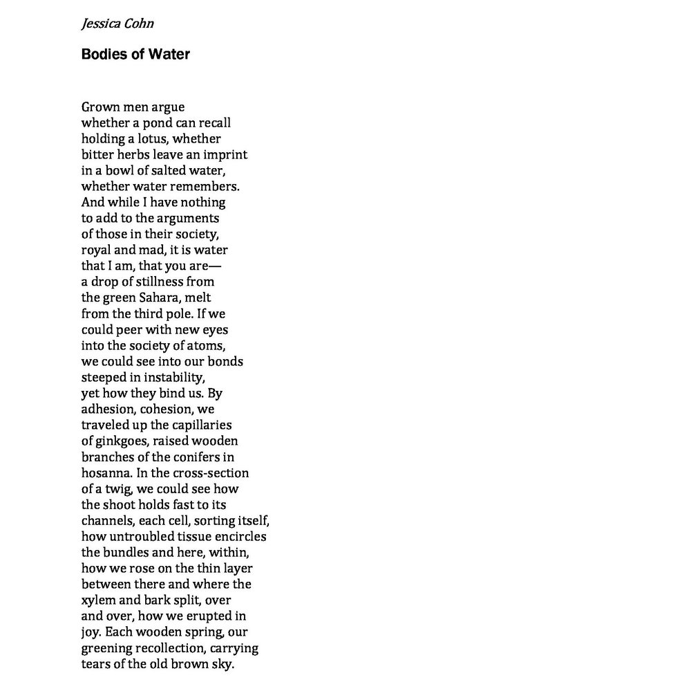 Jessica Cohn, Finalist — River Heron Review