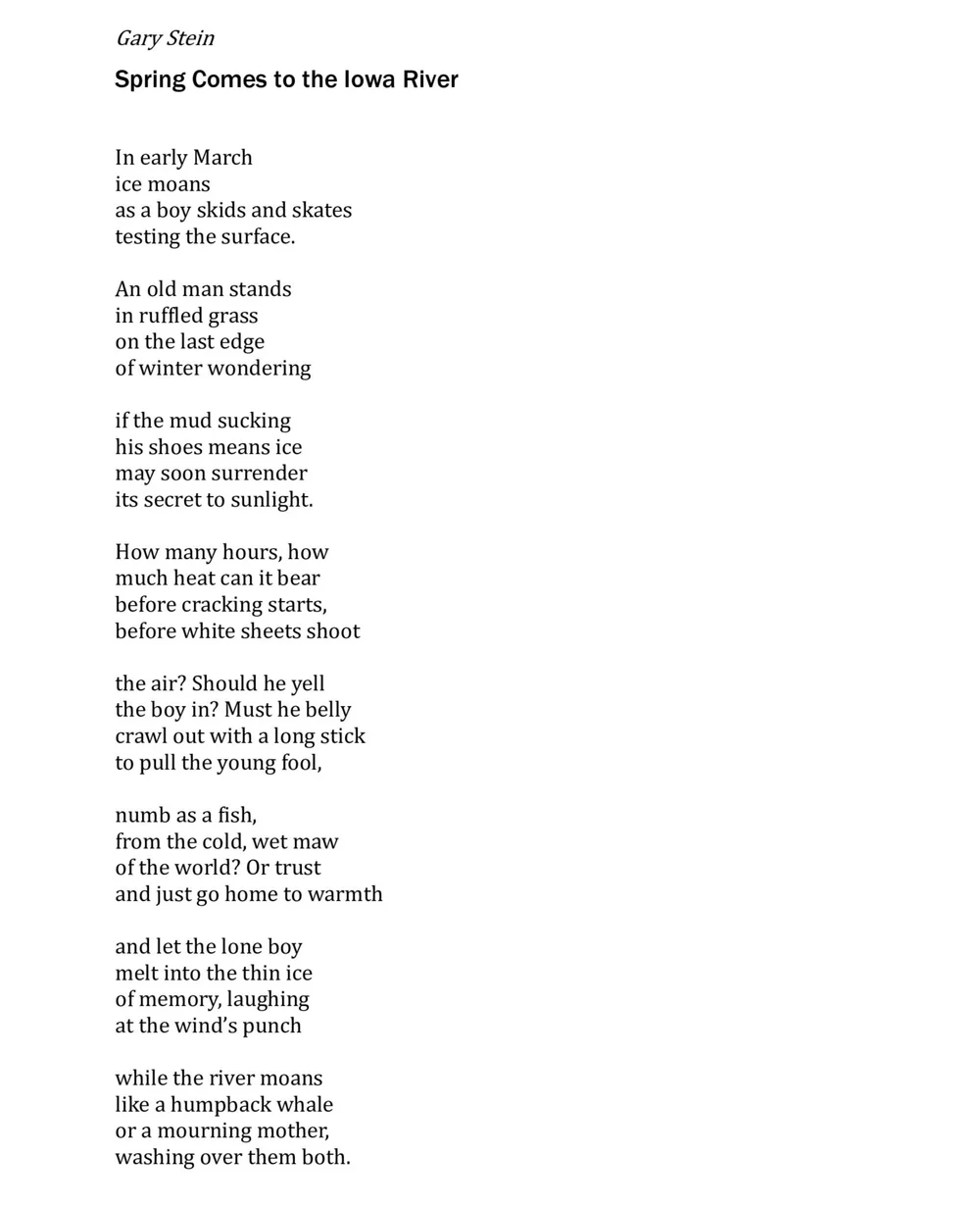 Gary Stein — River Heron Review
