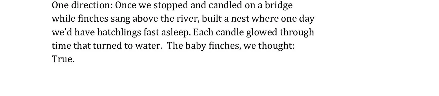 Alison Hurwitz — River Heron Review