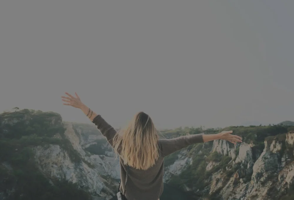 Distraction Action Plan — Alexis Haselberger Coaching and Consulting