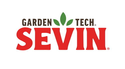 Bridget Stec: Graphic Design / Branding / Illustration