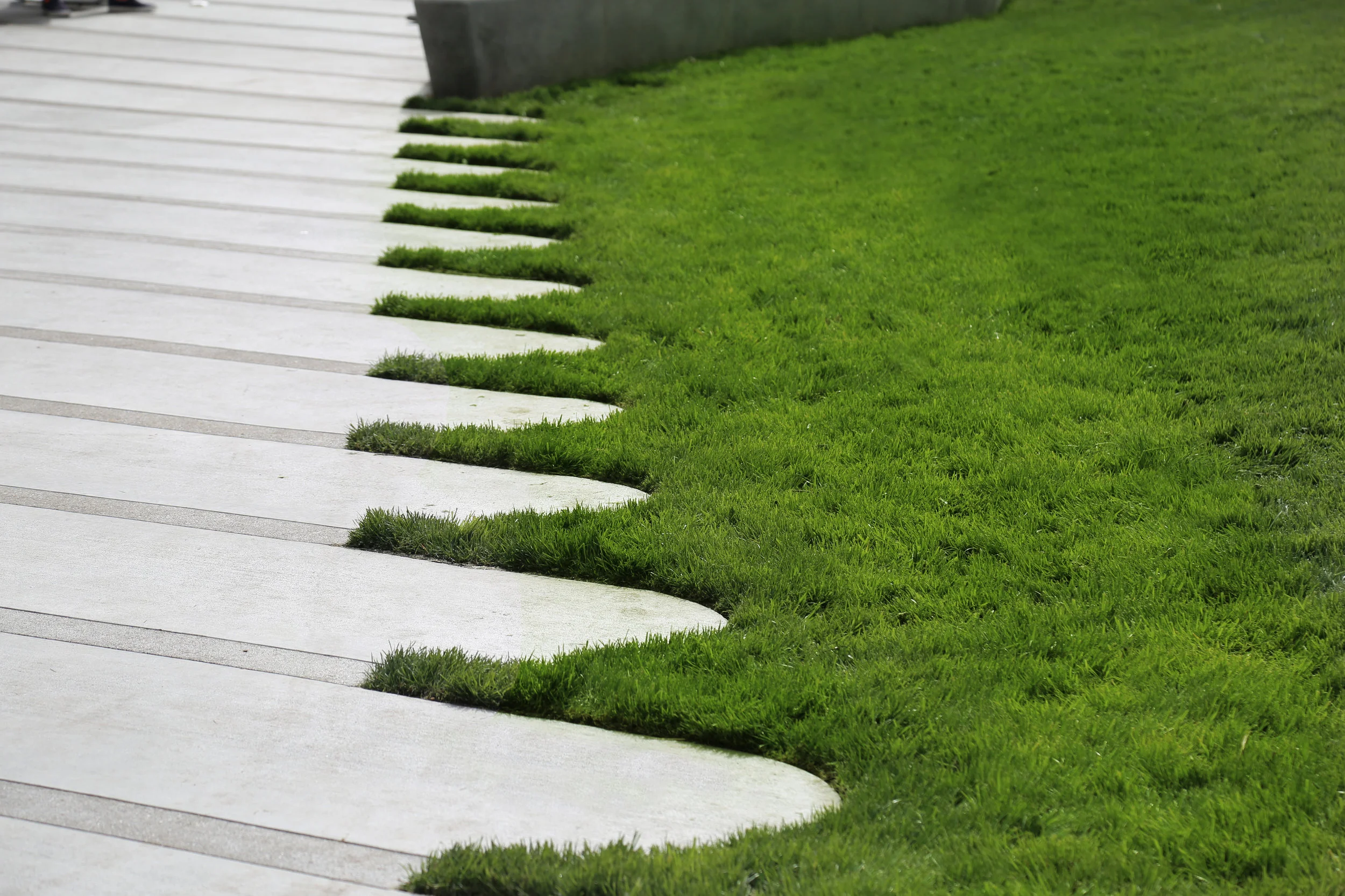 Awards Draft — Fletcher Studio