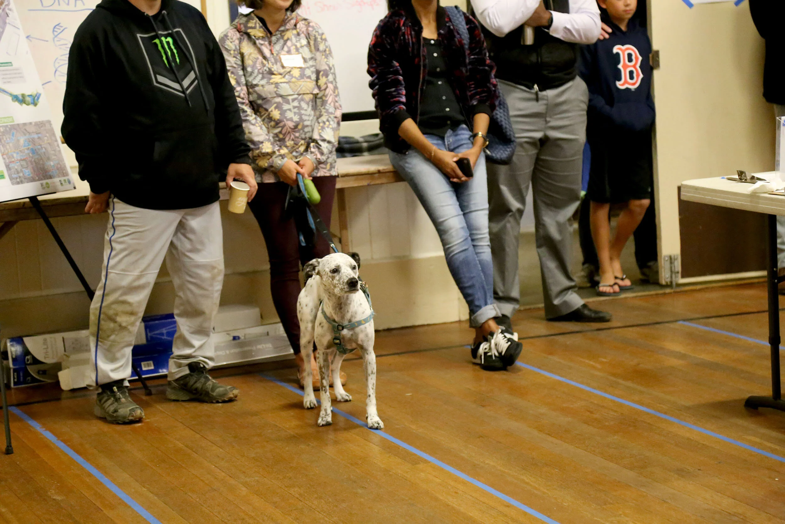 Jackson Park — Fletcher Studio