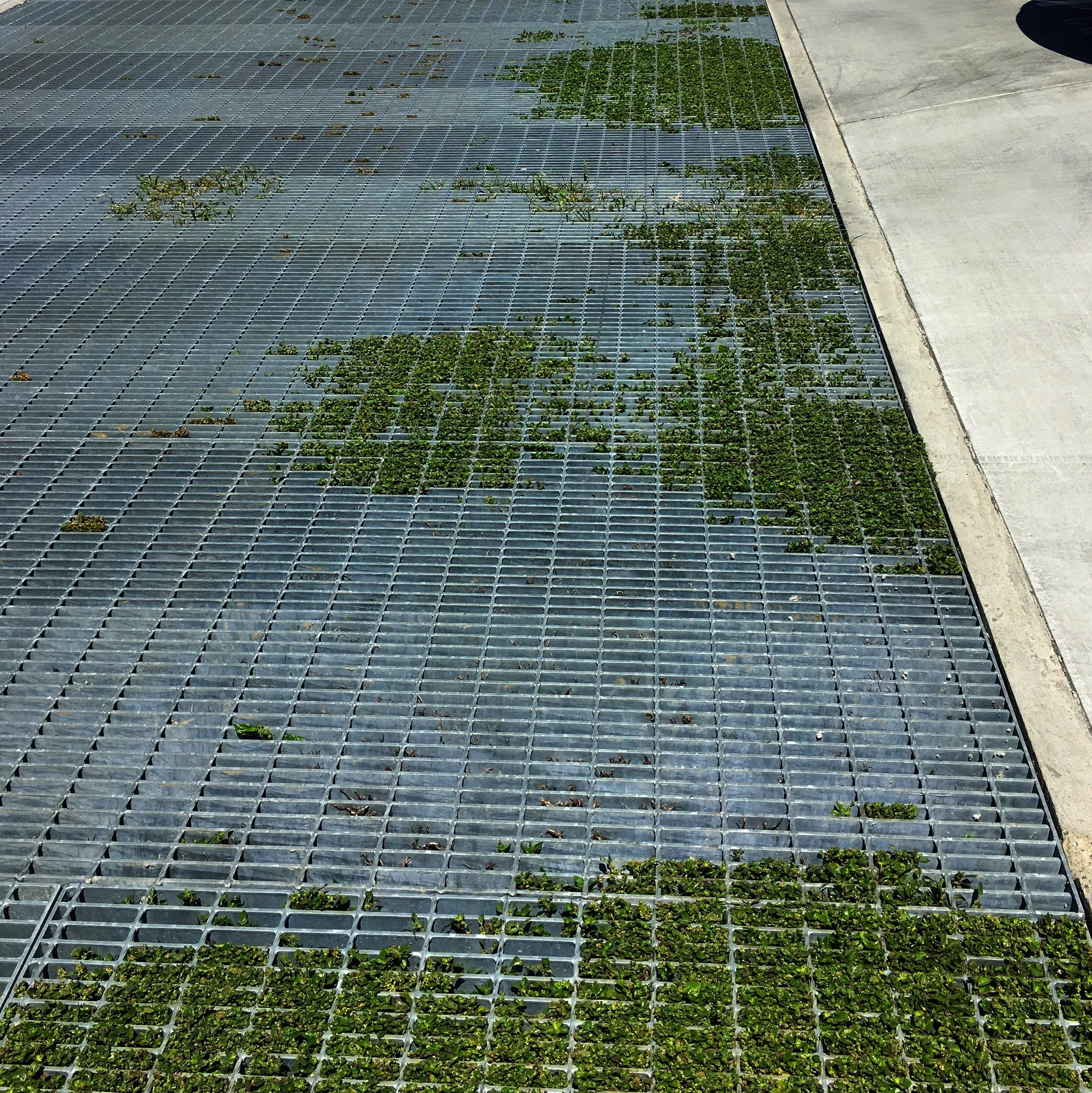 Green Infrastructure — Fletcher Studio