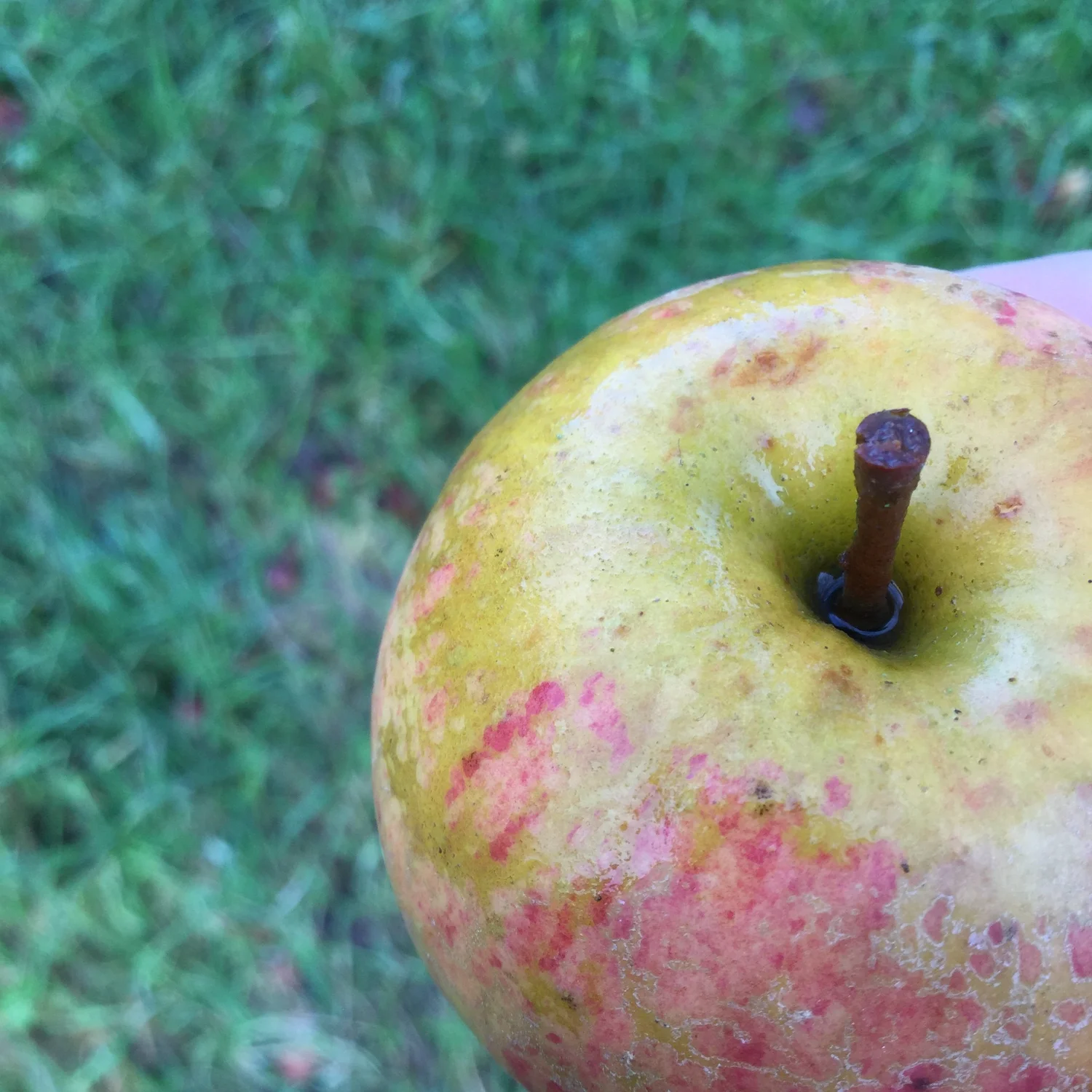 About — Chicago Cider Week