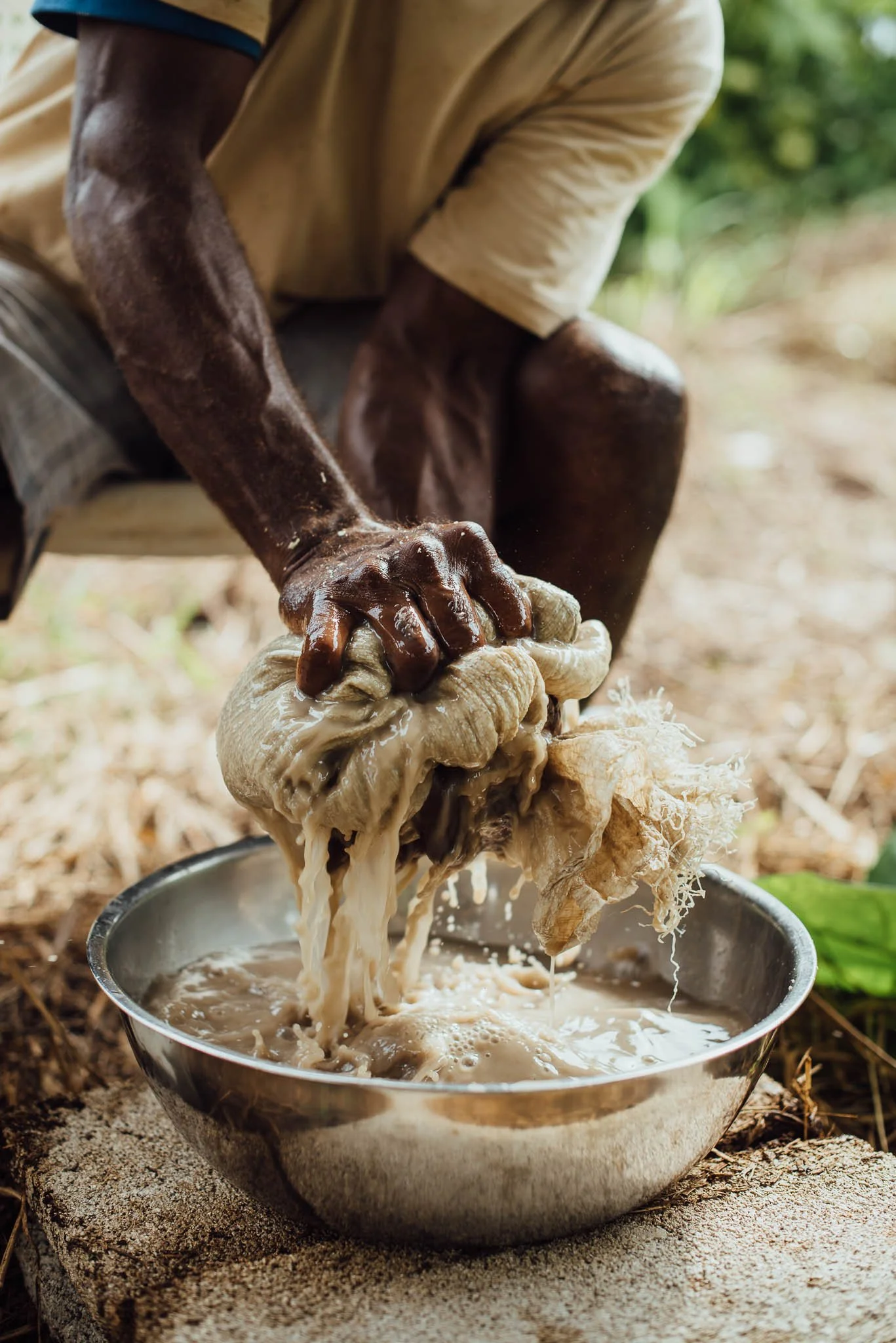 How to Prepare Kava — The Kava Society How to Prepare Kava — The Kava Society