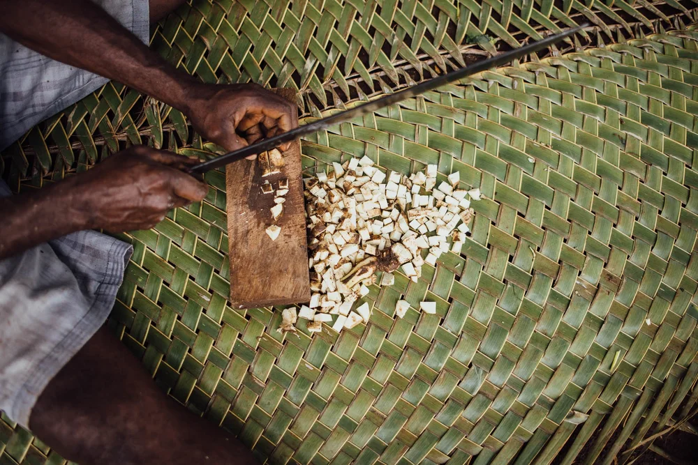 The Kava Society | Learn About Kava | Kava Basics | Kava Science | Kava ...