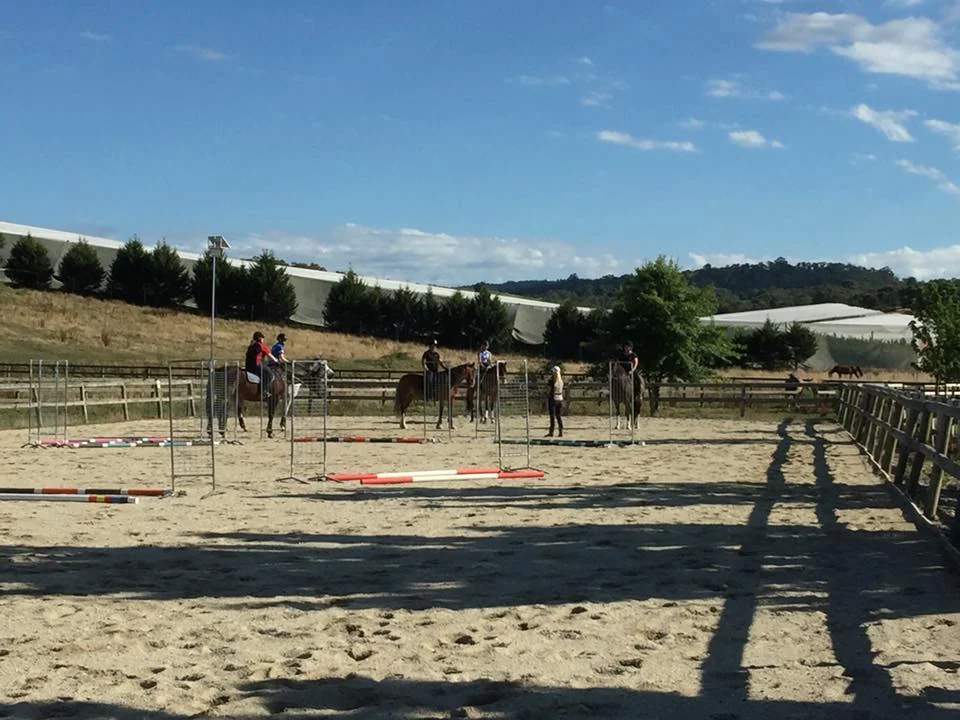 Elite Equestrian Academy