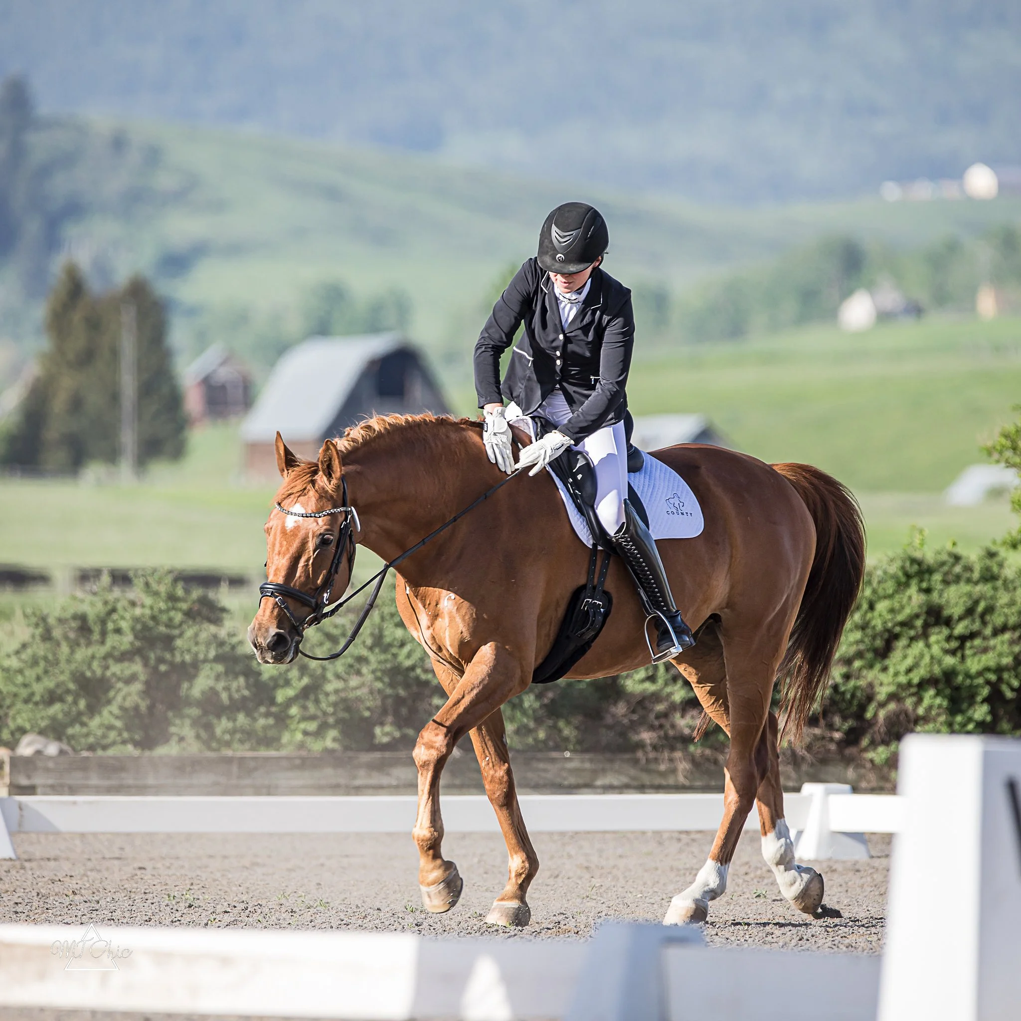 About Us — Arete Equestrian