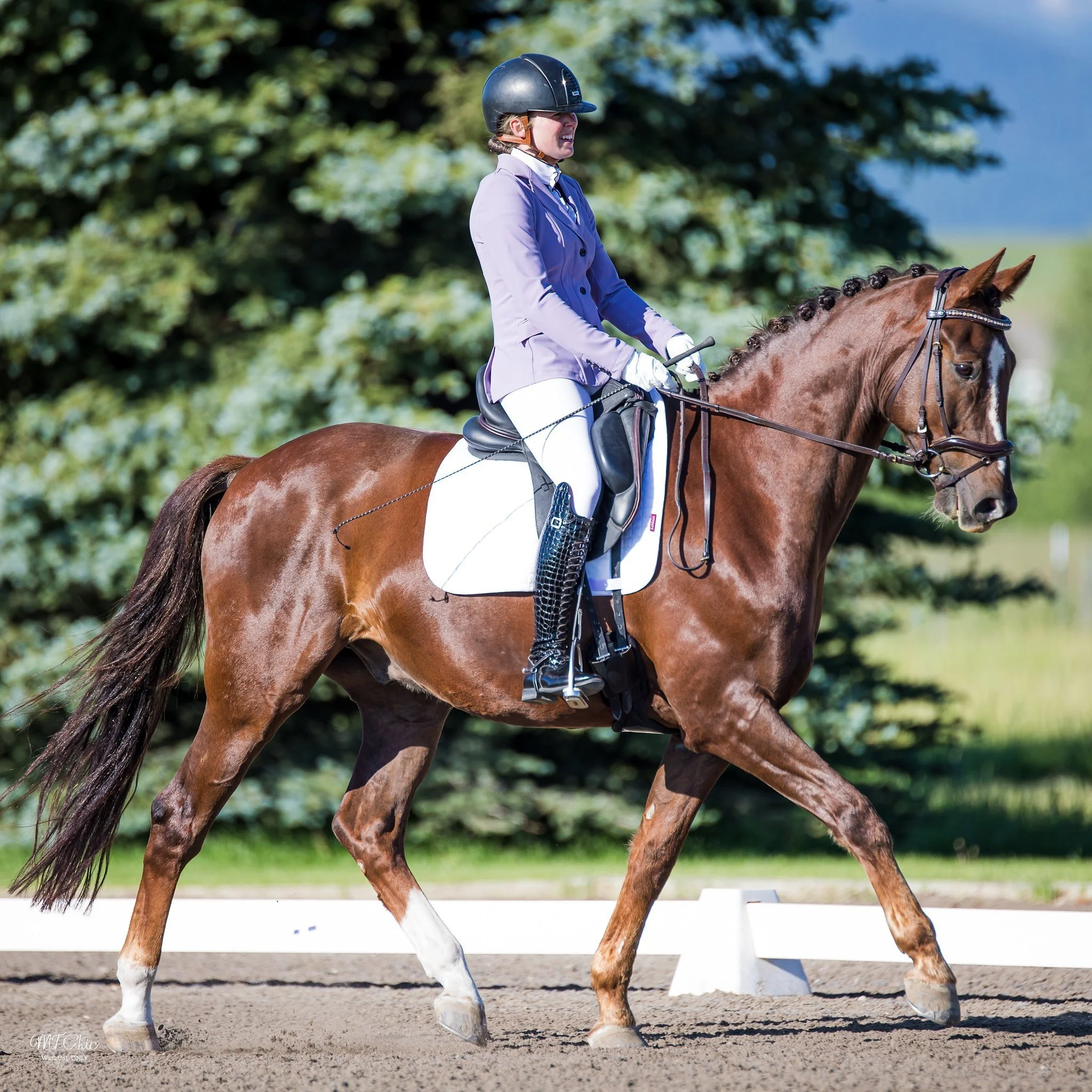 Our Program — Arete Equestrian