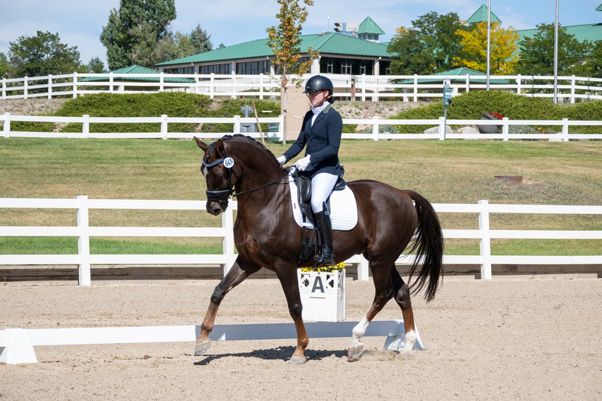 Our Program — Arete Equestrian