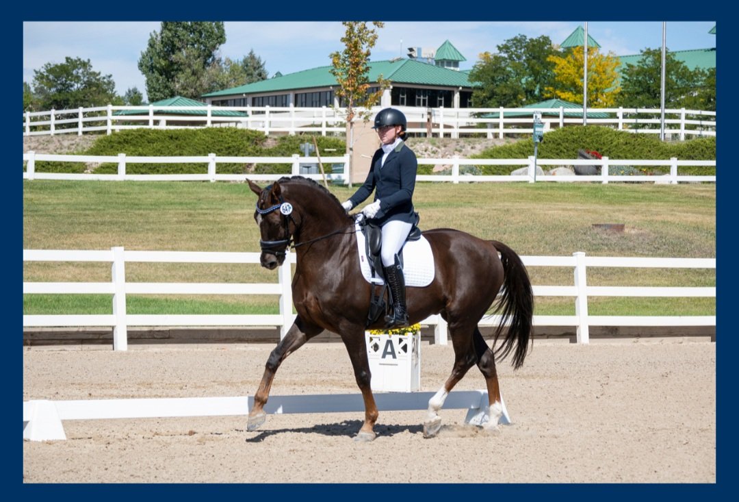 About Us — Arete Equestrian