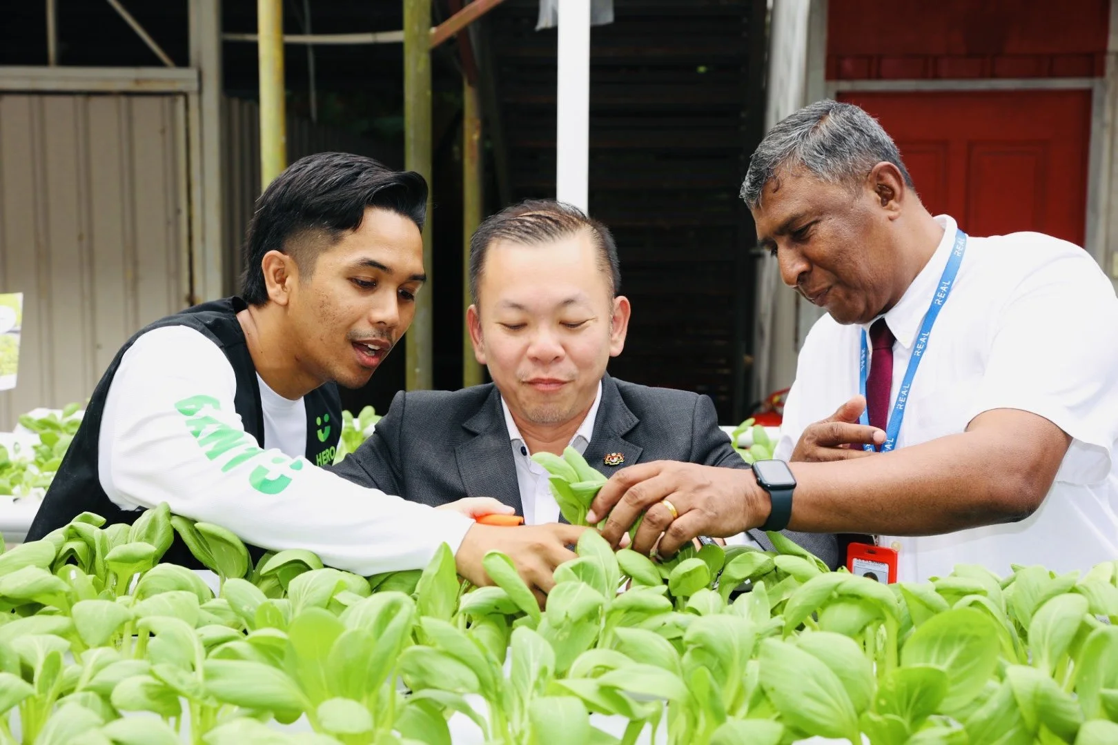 airasia grocer and BANTU Heroes join forces to launch ‘BANTU Farm’ in ...