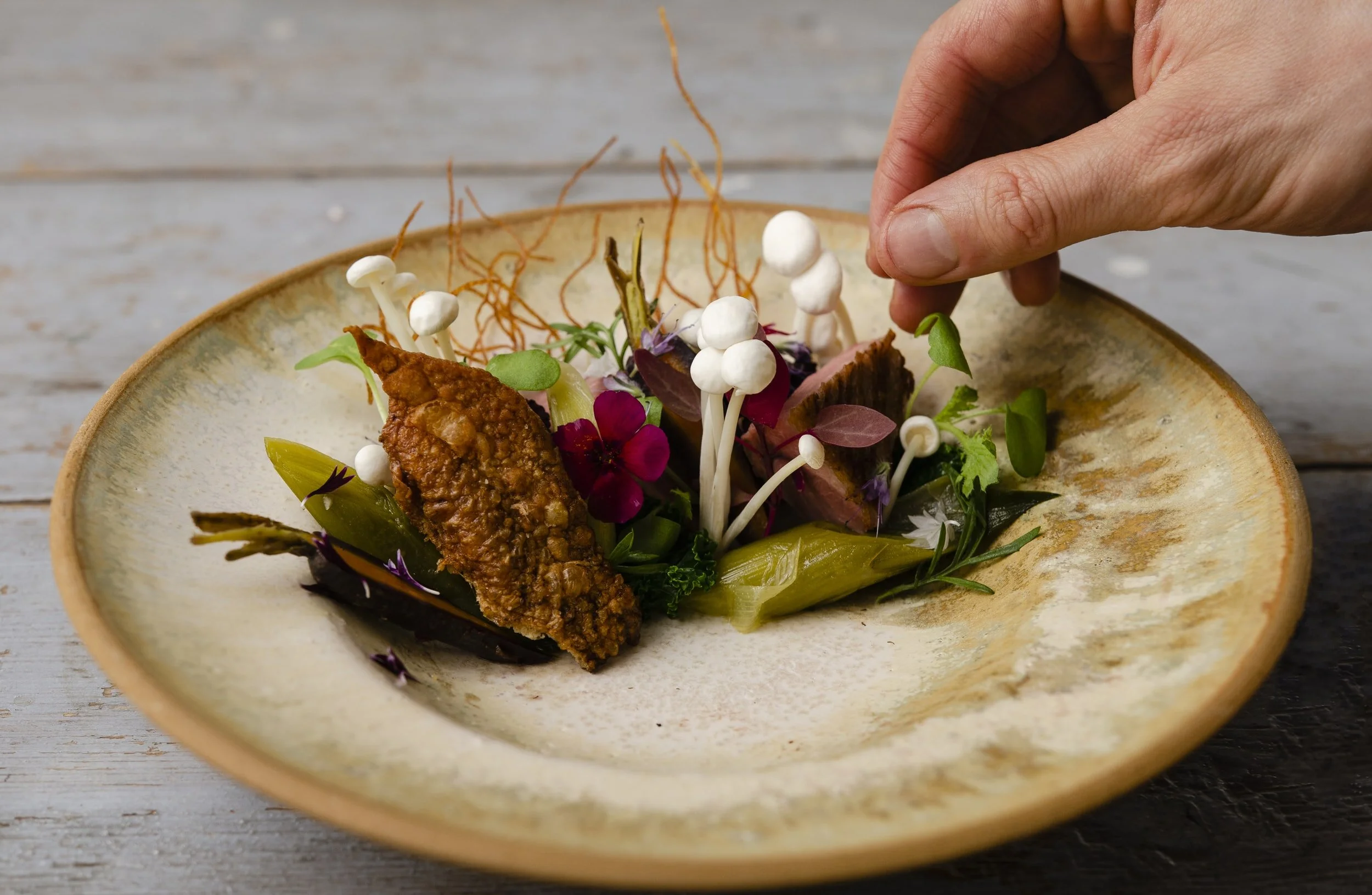 Sustainable Gastronomy Redefining Our Rules Of The Table Social Sustainable Gastronomy Redefining Our Rules Of The Table Social