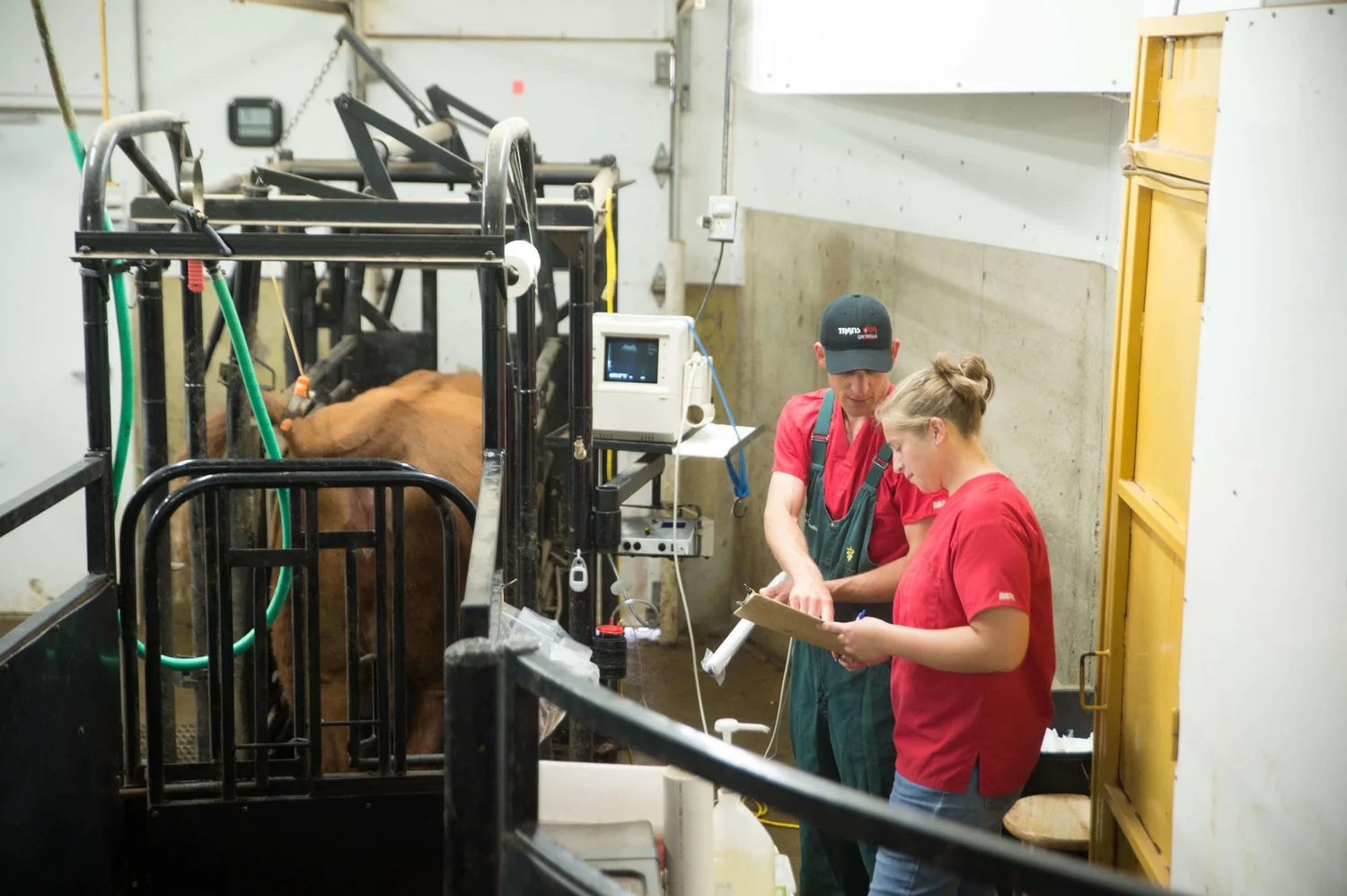 Elite Genetics — SWISSLANE FARMS