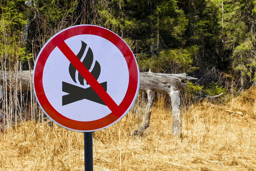 Choosing the Right Fire Pit for Burn Ban Areas | Studio Nisho