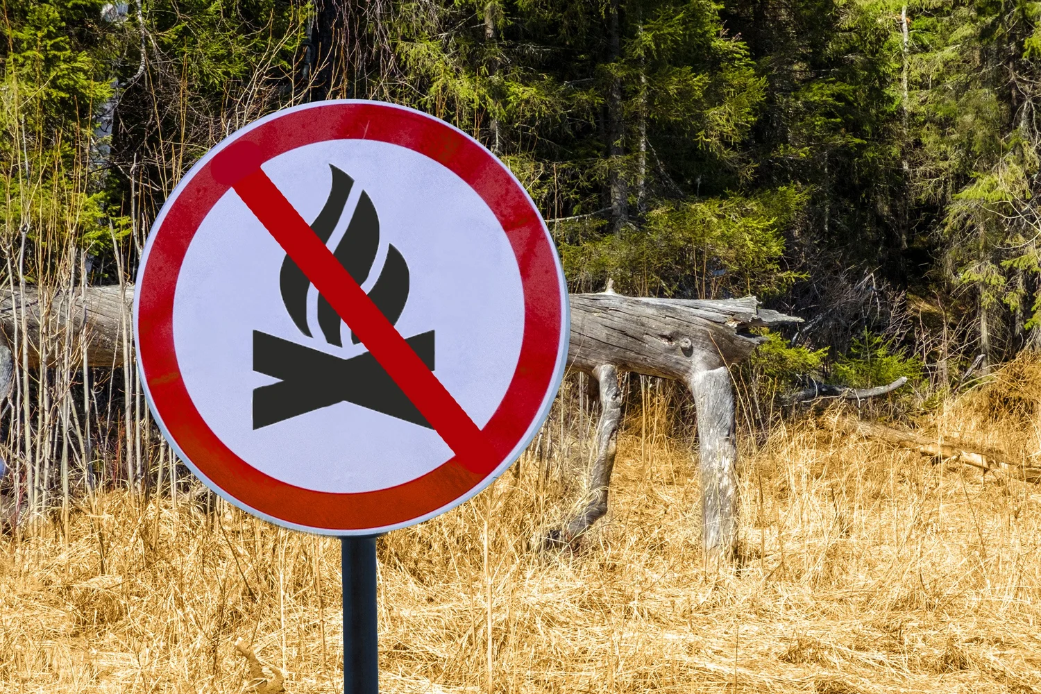 Choosing the Right Fire Pit for Burn Ban Areas | Studio Nisho