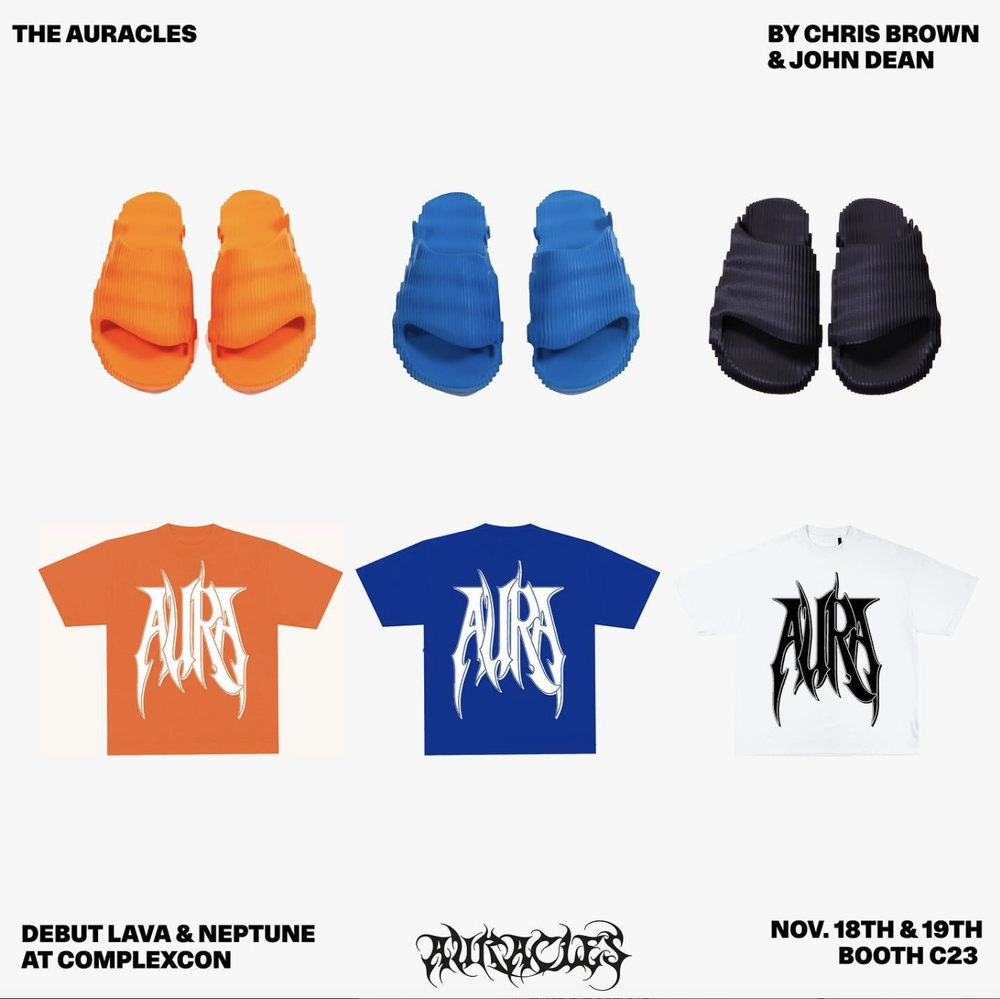 Chris Brown's Stylish Step Towards Sustainability With NAMI Slides ...