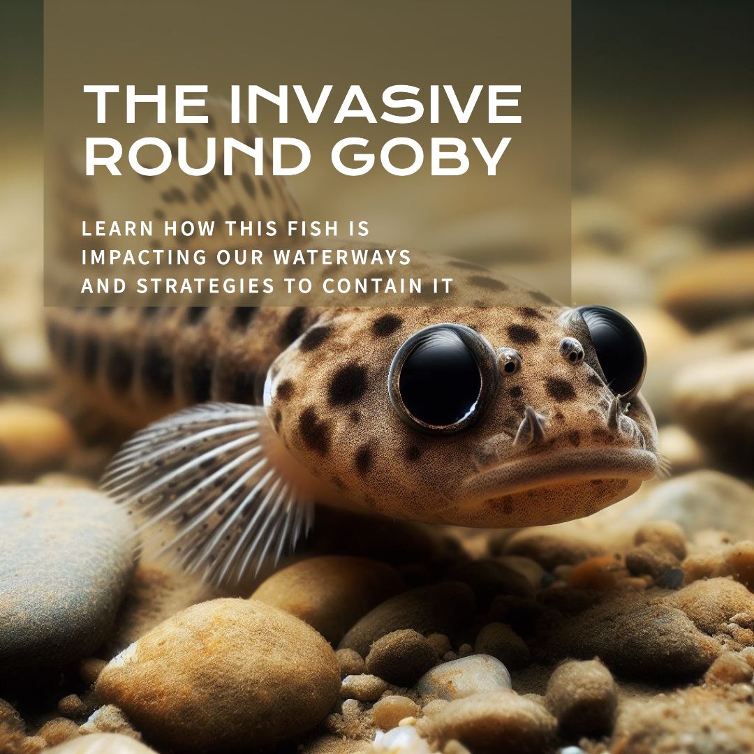 Upcoming Events — Hudson Crossing Park