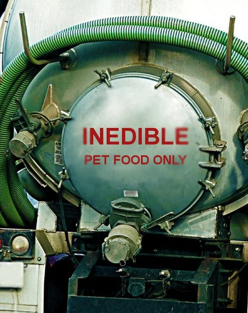 What's Really in Dog Food? — Fairfield Beach Access