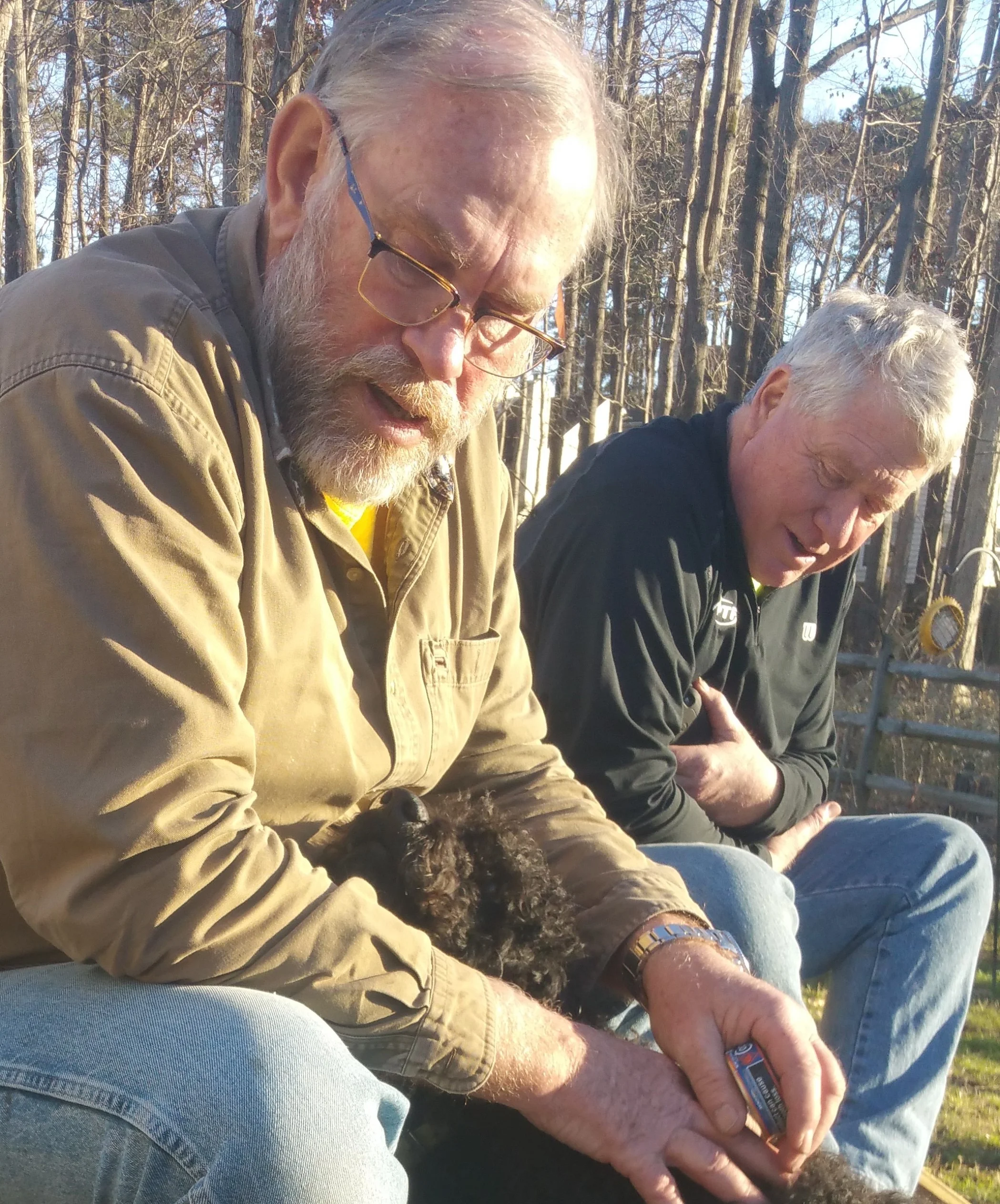 History — The Woolly Dog Ranch