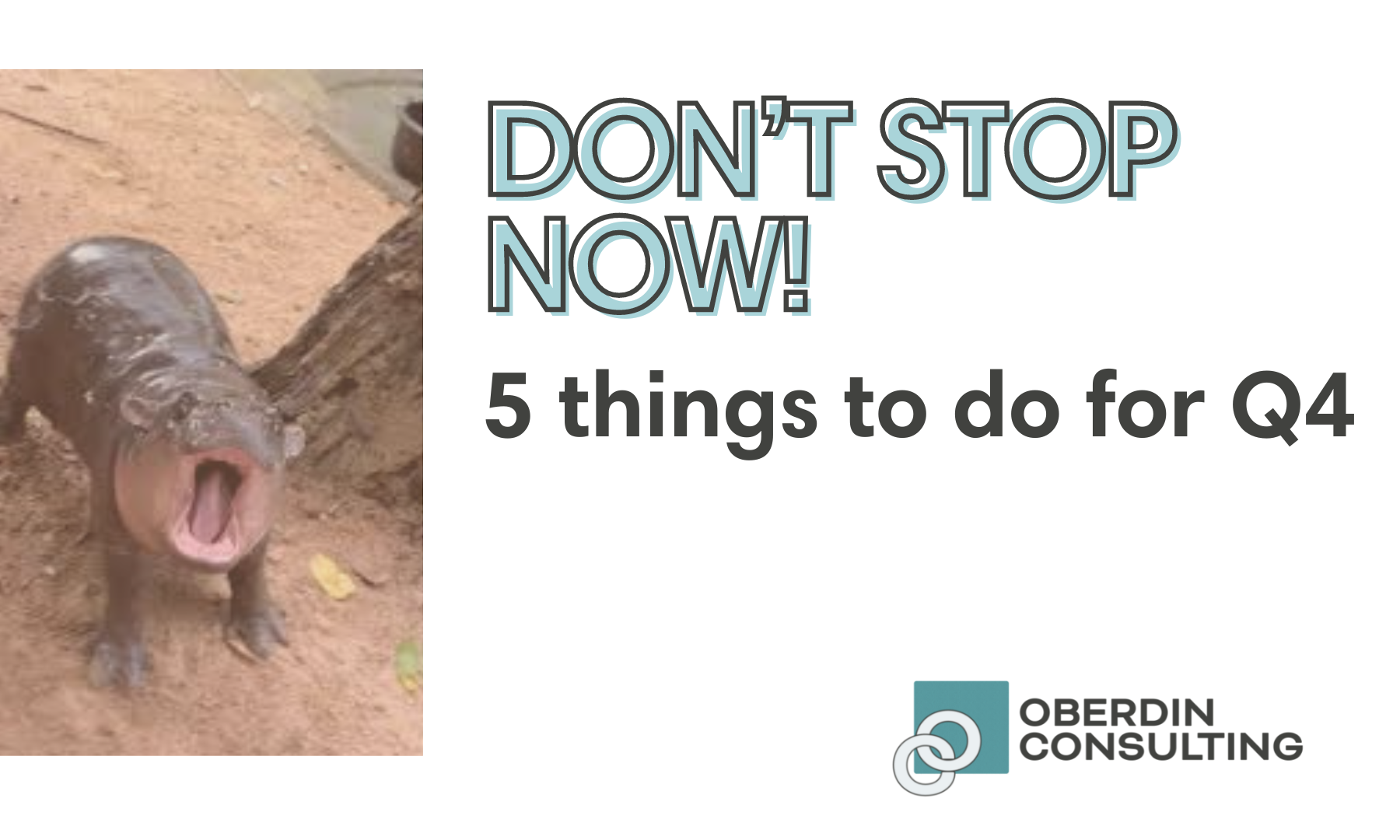 Five things to do for your digital marketing to get over the Quarter 4 ...