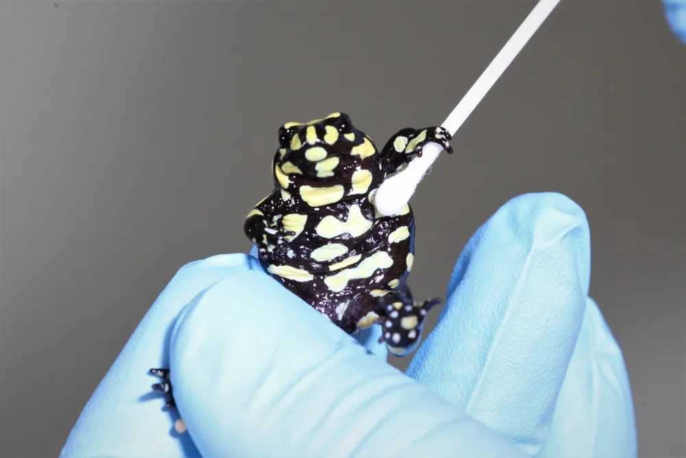International Science Committee — Earth BioGenome Project