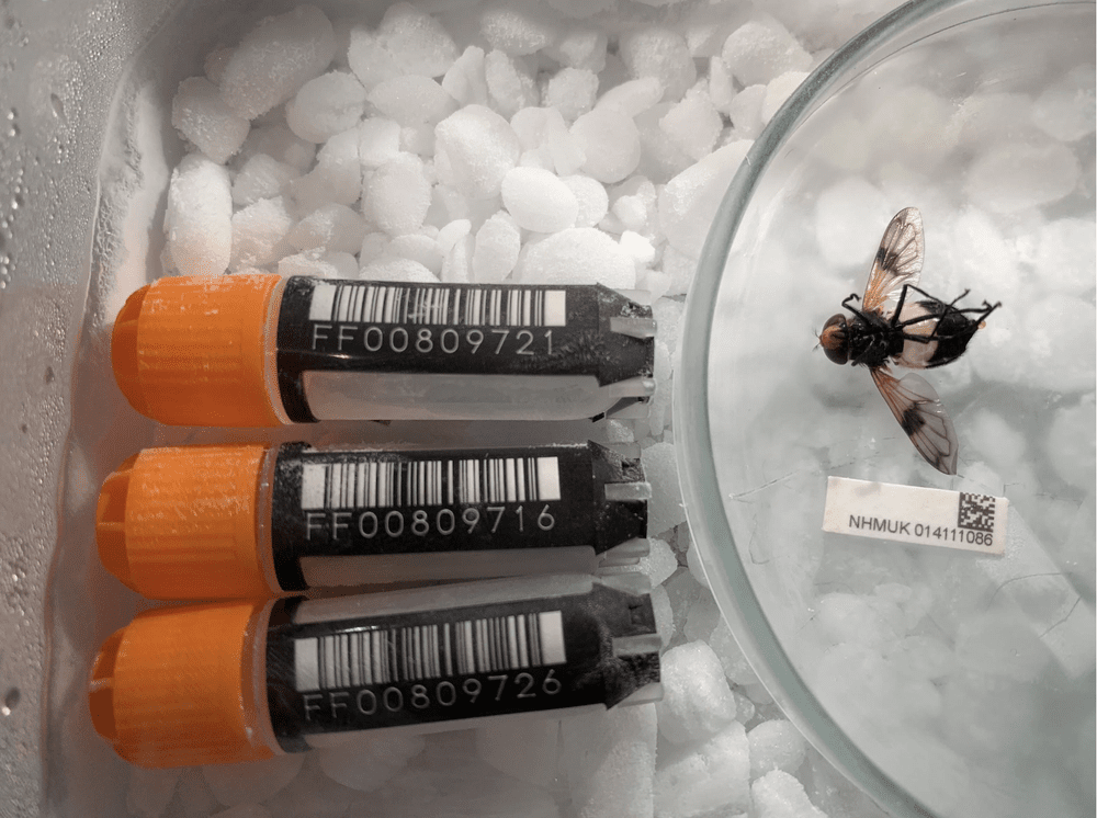 Report on Sample Collection and Processing Standards (October2024 ...