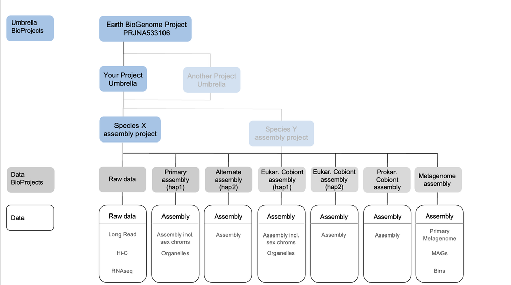 Report on Assembly Standards-v7 — Earth BioGenome Project