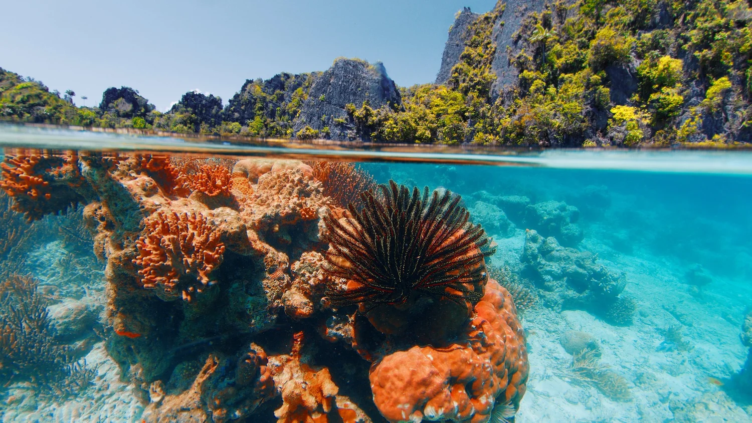 Earth BioGenome Project