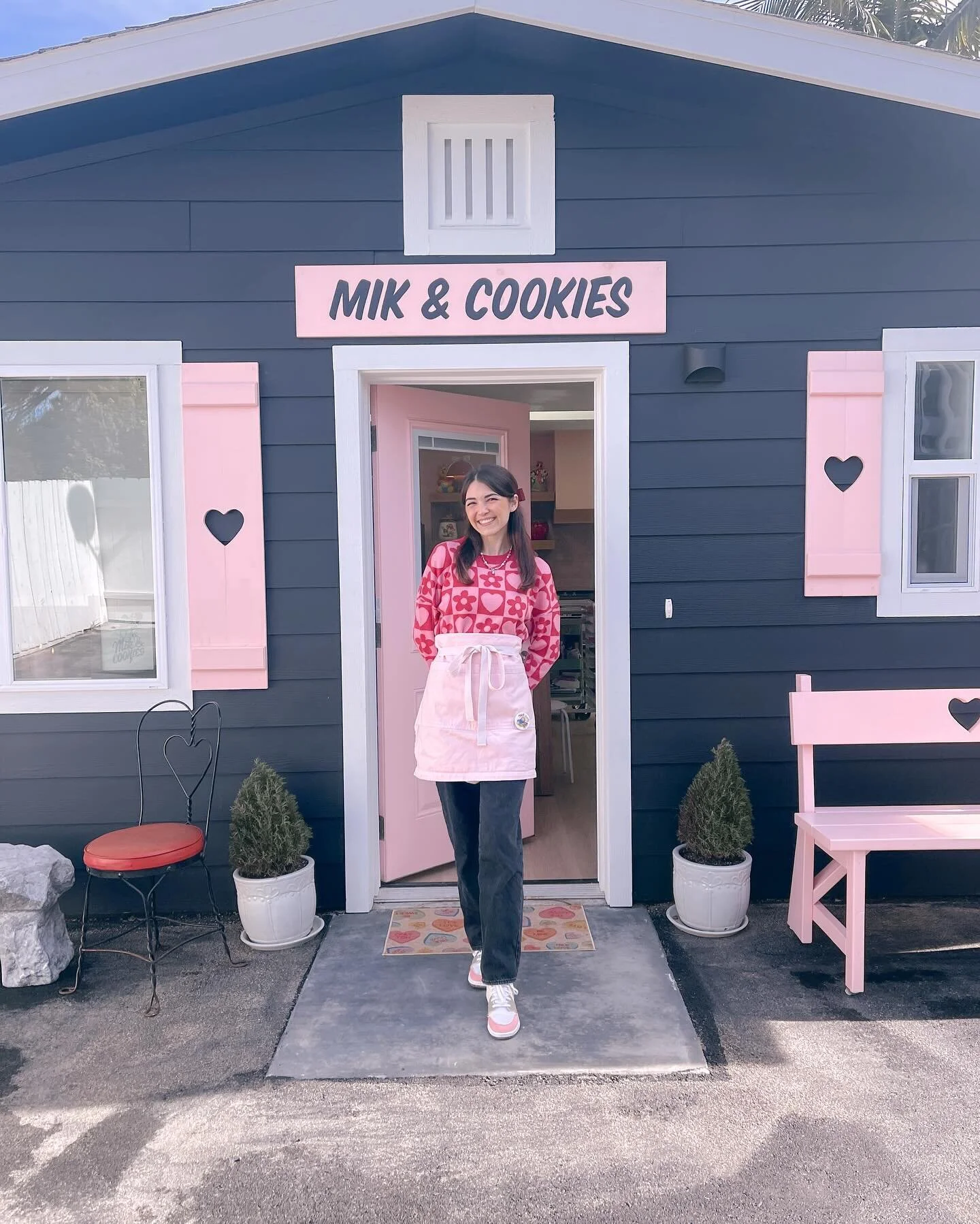 Cookie Classes — Mik & Cookies