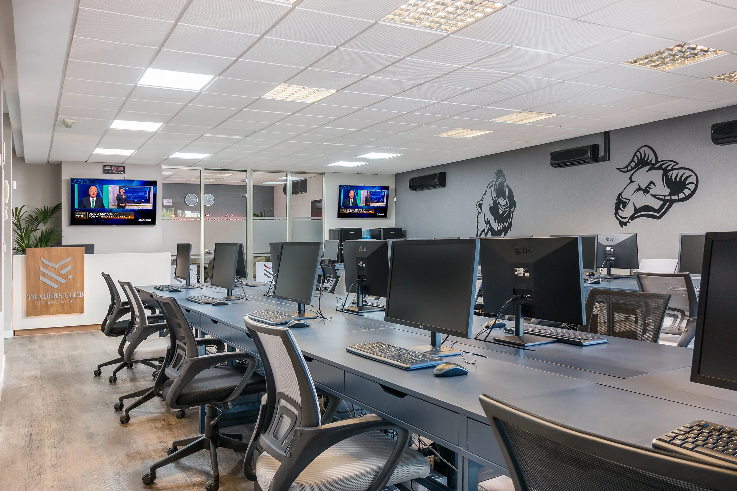 Traders Club International Commercial Design Project — Foc Design