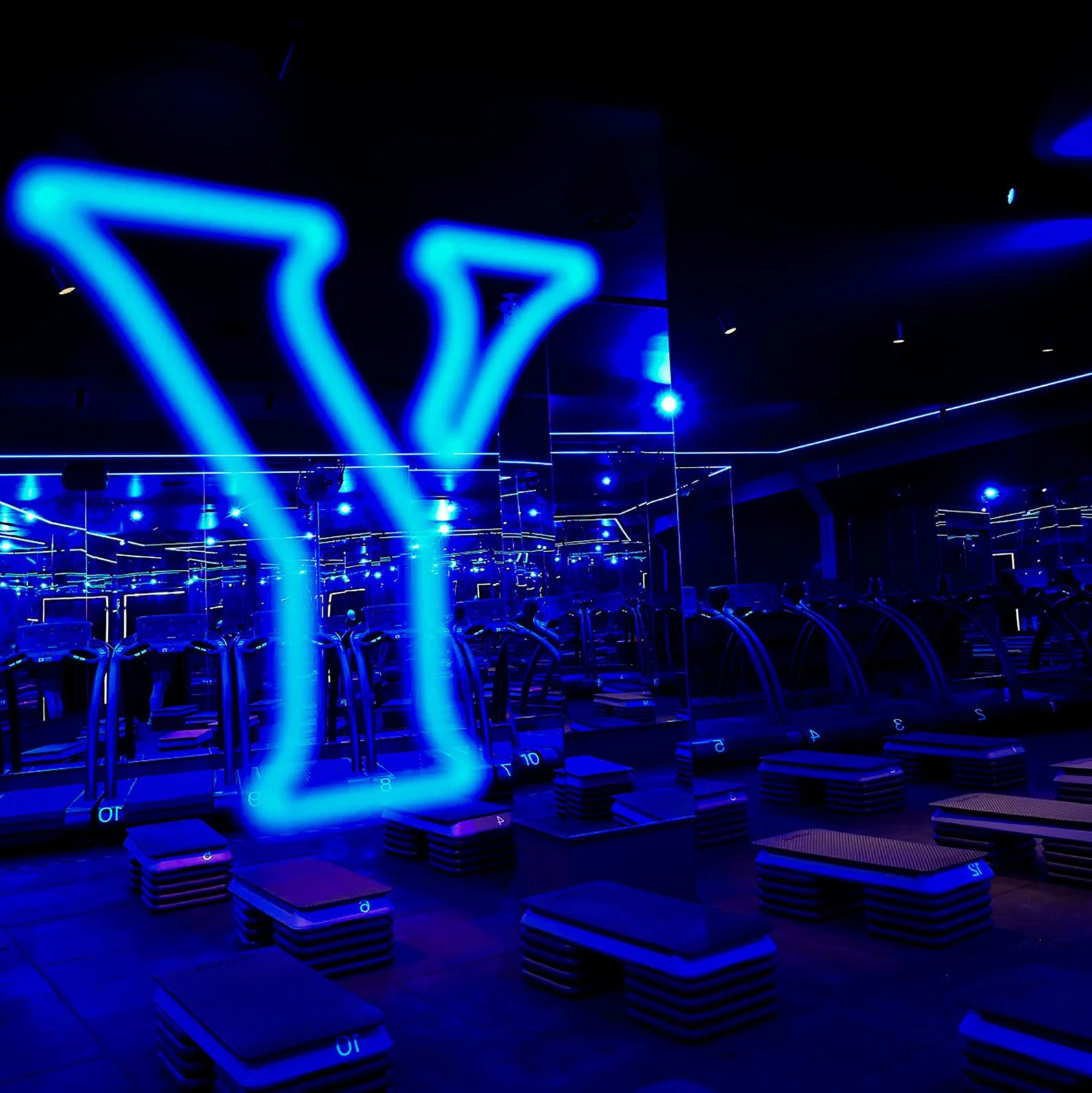 Portfolio — Foc Design