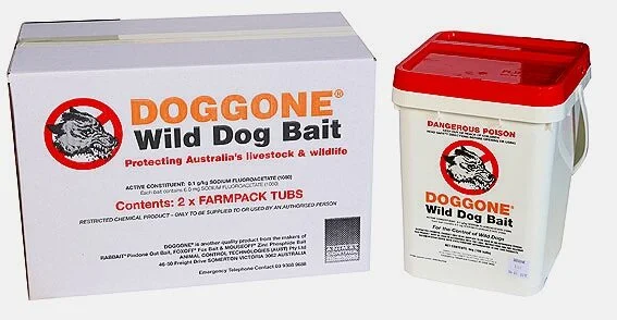 What Is A Bait Dog