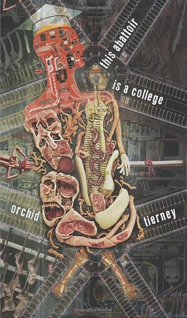 REVIEWS — RHINO — This Abattoir is a College by Orchid Tierney - Reviewed by Robert Eric Shoemaker