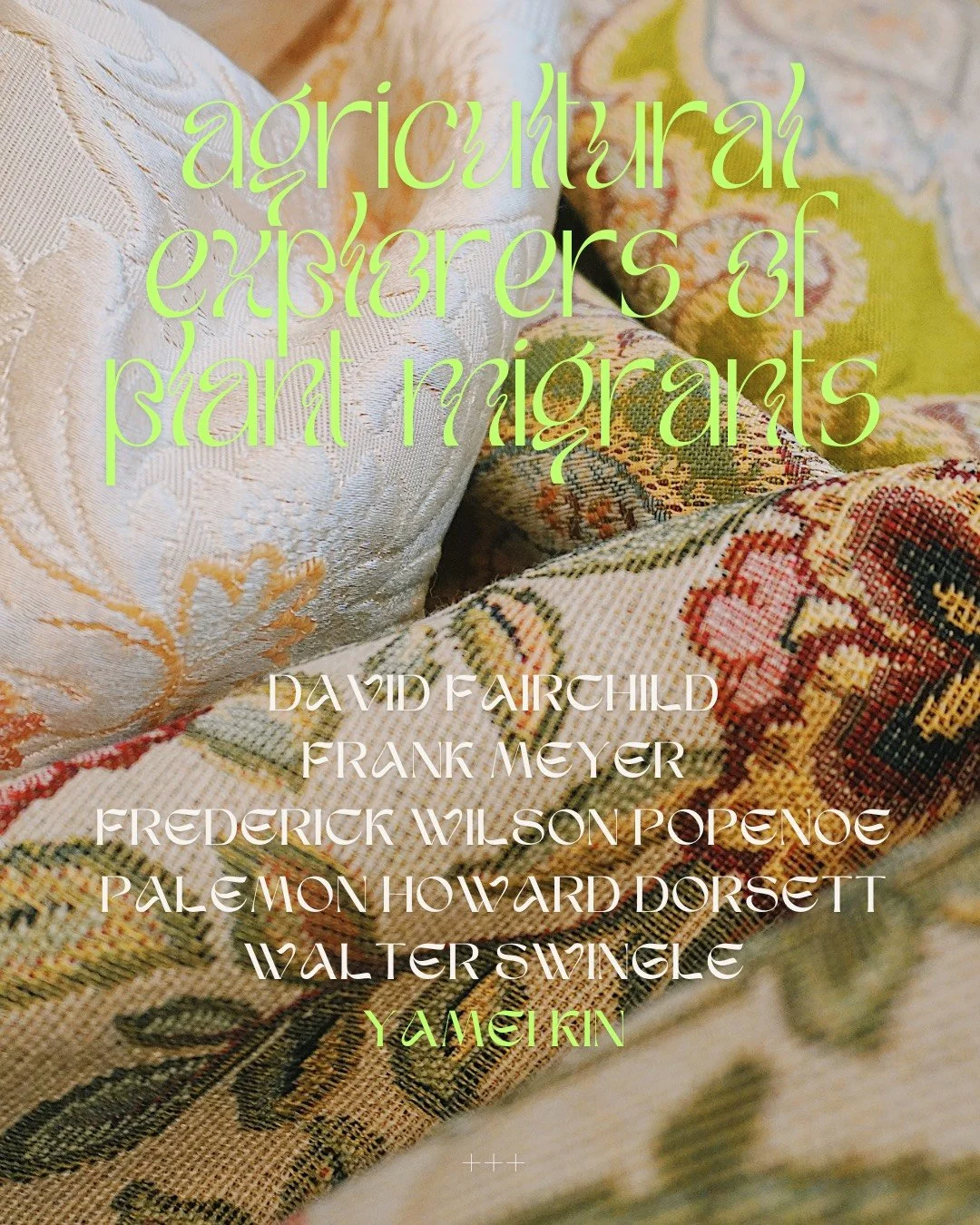 REVIEWS — RHINO — Dispersals: On Plants, Borders, and Belonging by ...