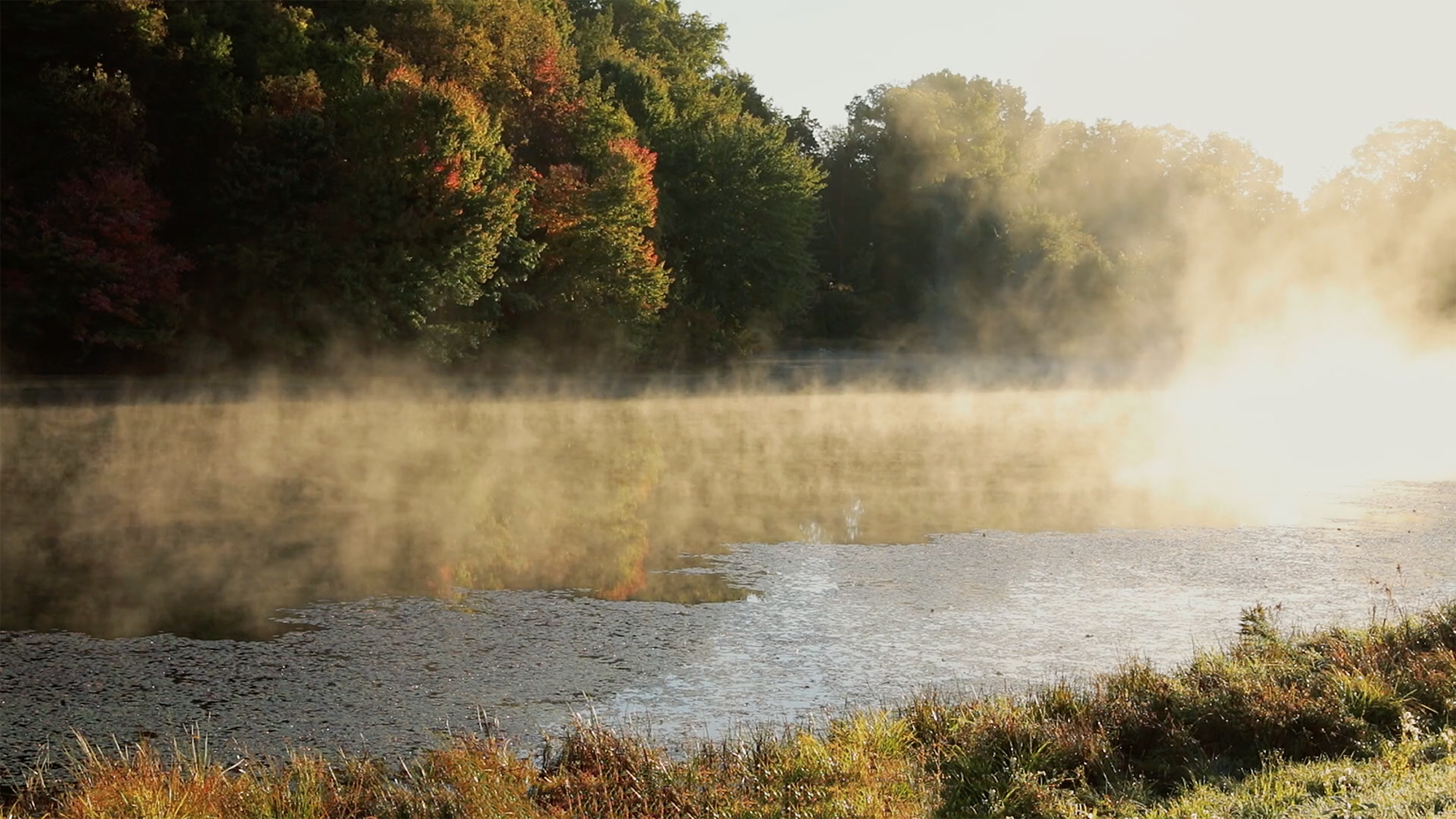Annie Smithers - Chef | Writer | Farmer | du Fermier