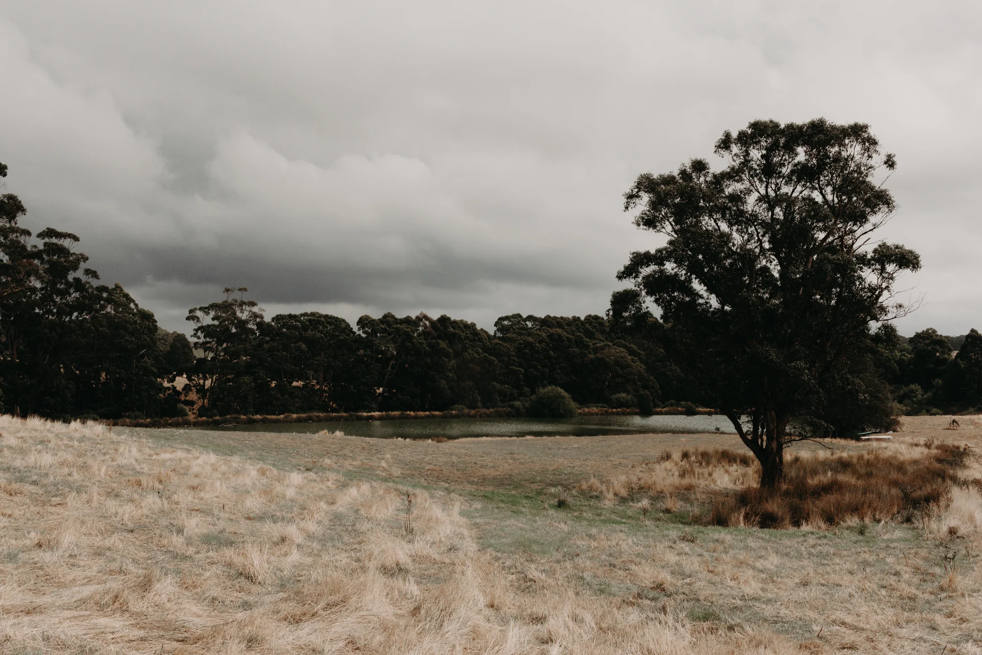 Babbington Park — Annie Smithers - Chef | Writer | Farmer | du Fermier