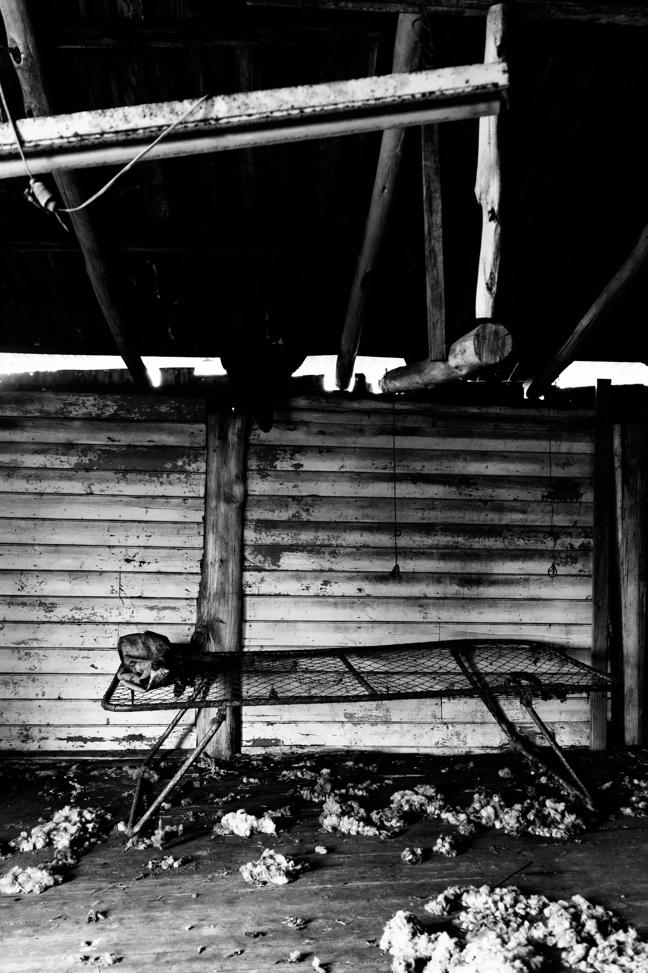 Babbington Park — Annie Smithers - Chef | Writer | Farmer | du Fermier