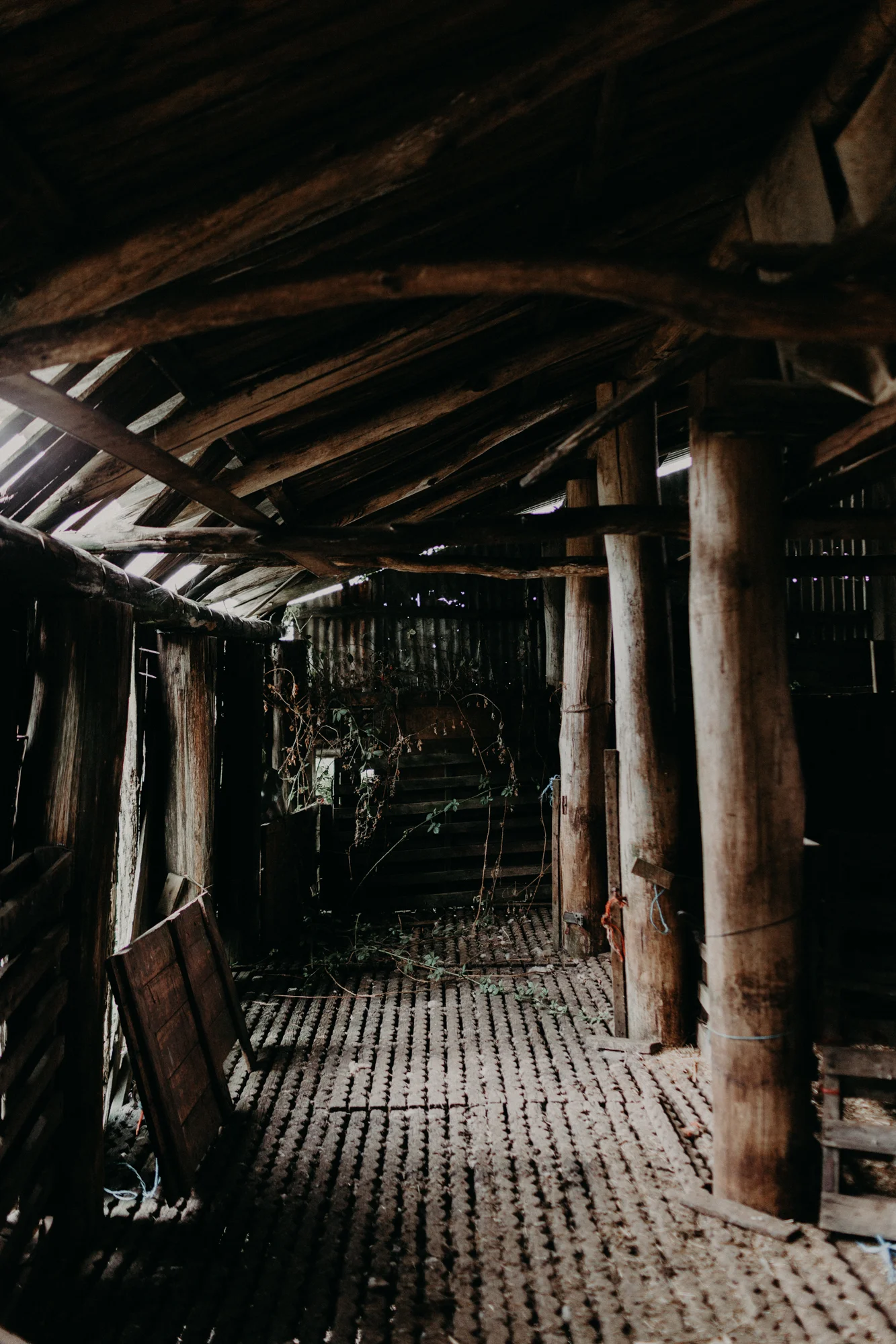 Babbington Park — Annie Smithers - Chef | Writer | Farmer | du Fermier