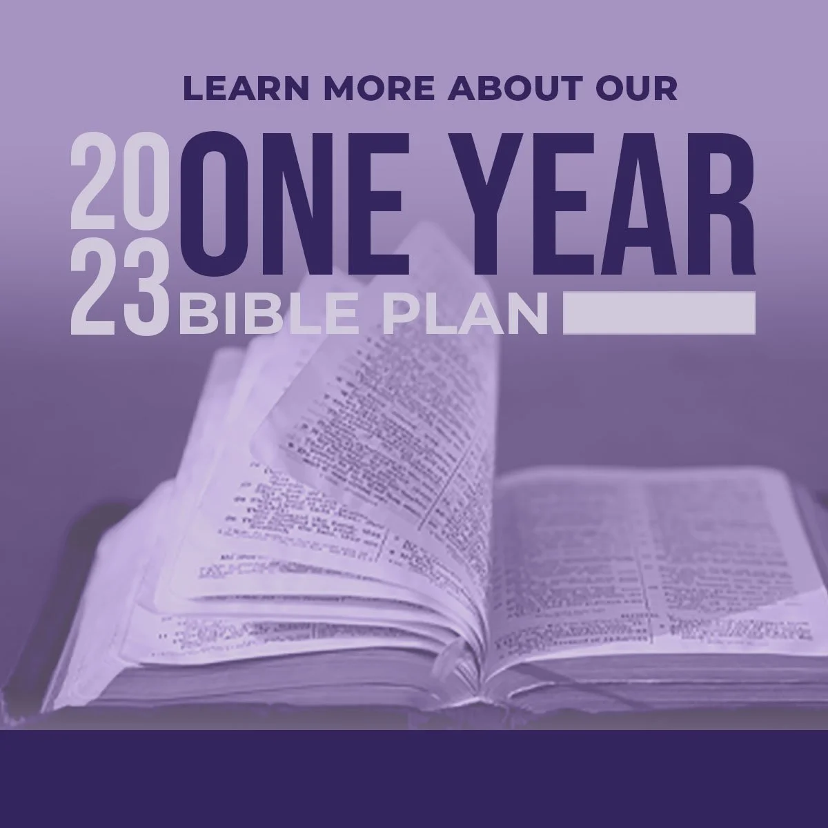 Year Bible Plan In