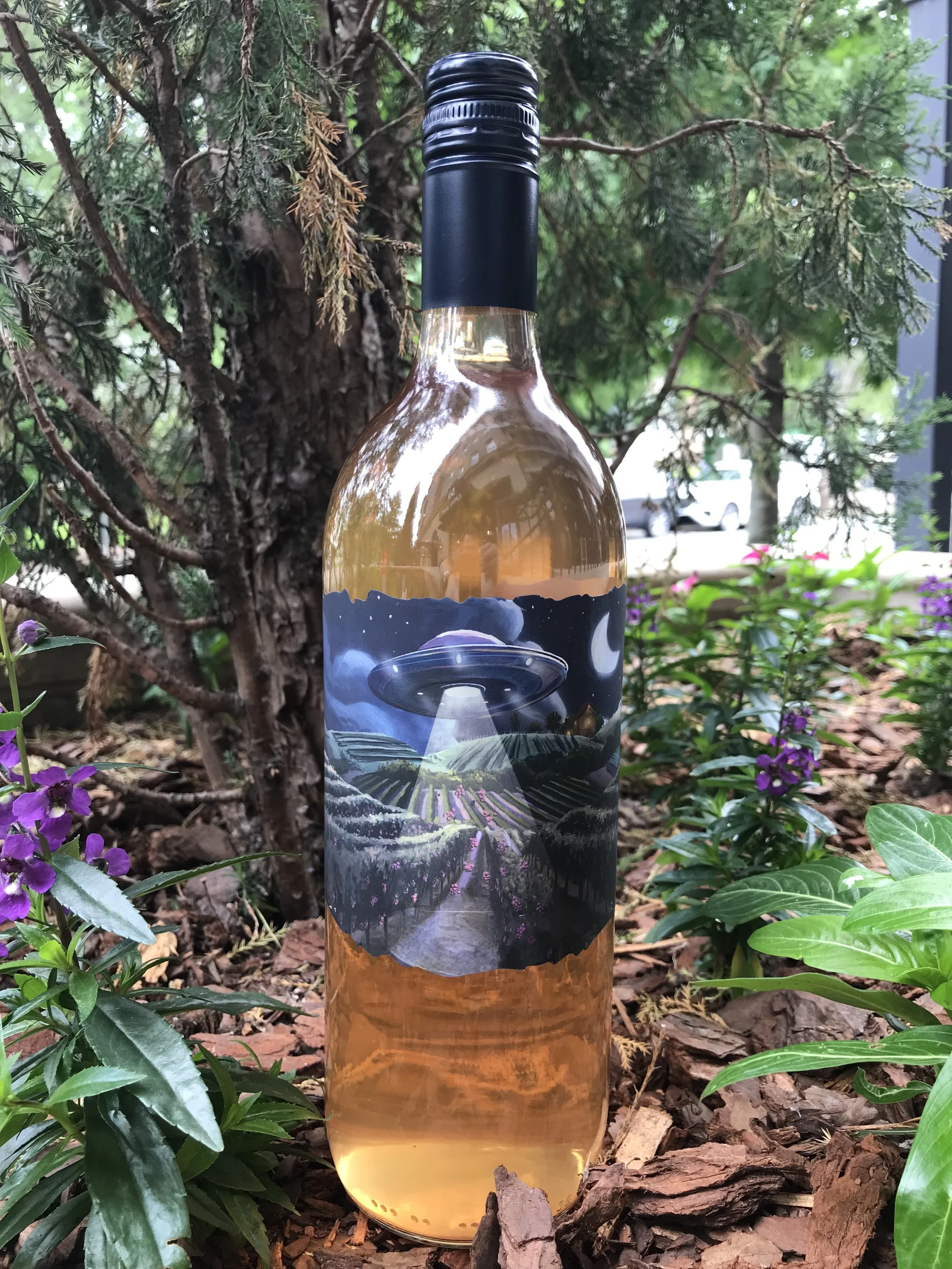 Layers of Skin (Canton) — Fermented Wine Boutique