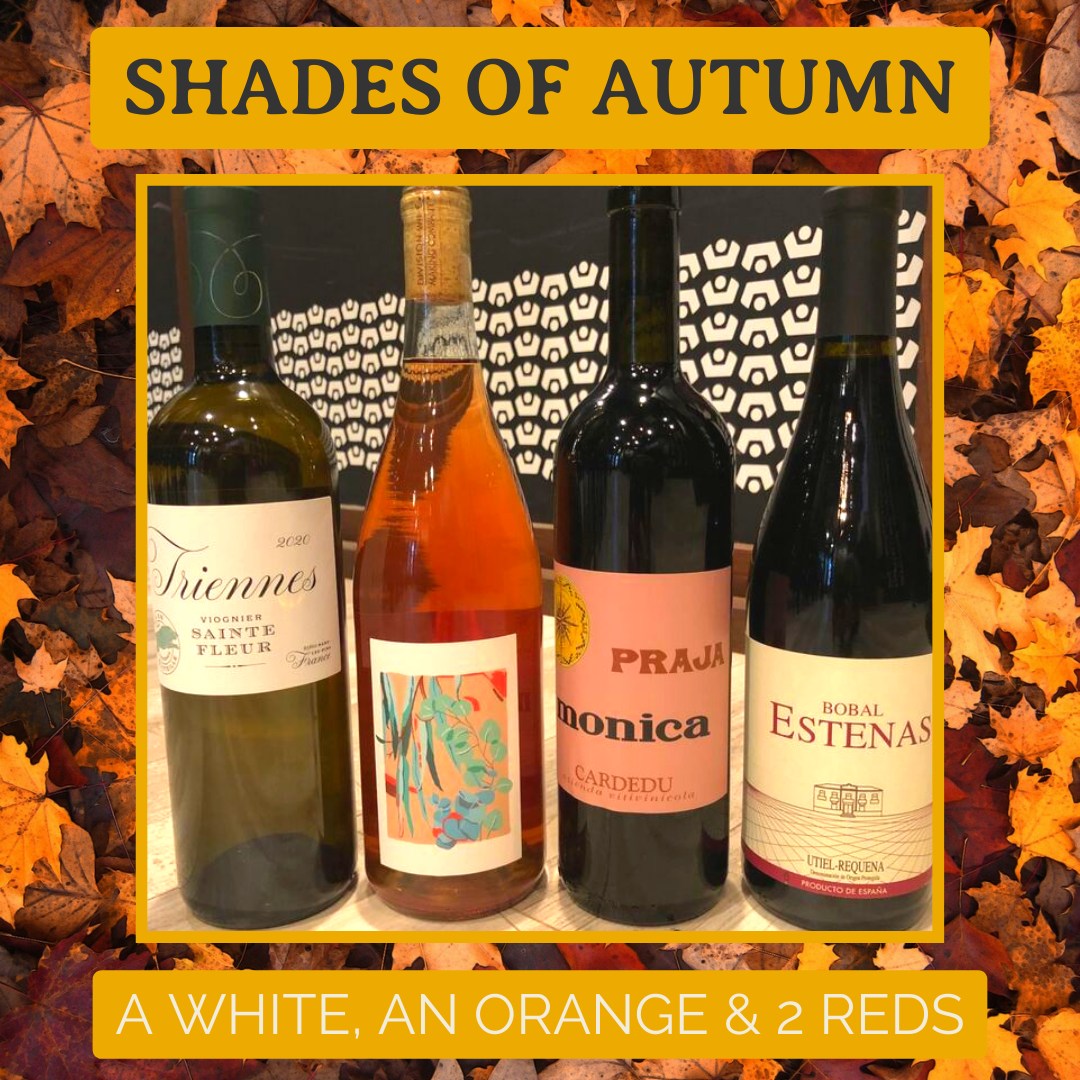 Shades of Fall (Alpharetta) — Fermented Wine Boutique