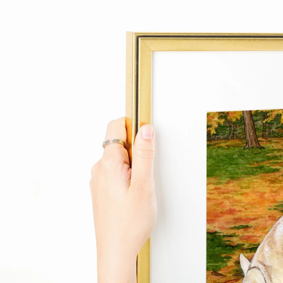 Sofia Lenore + Framebridge — Sofia Lenore Watercolors