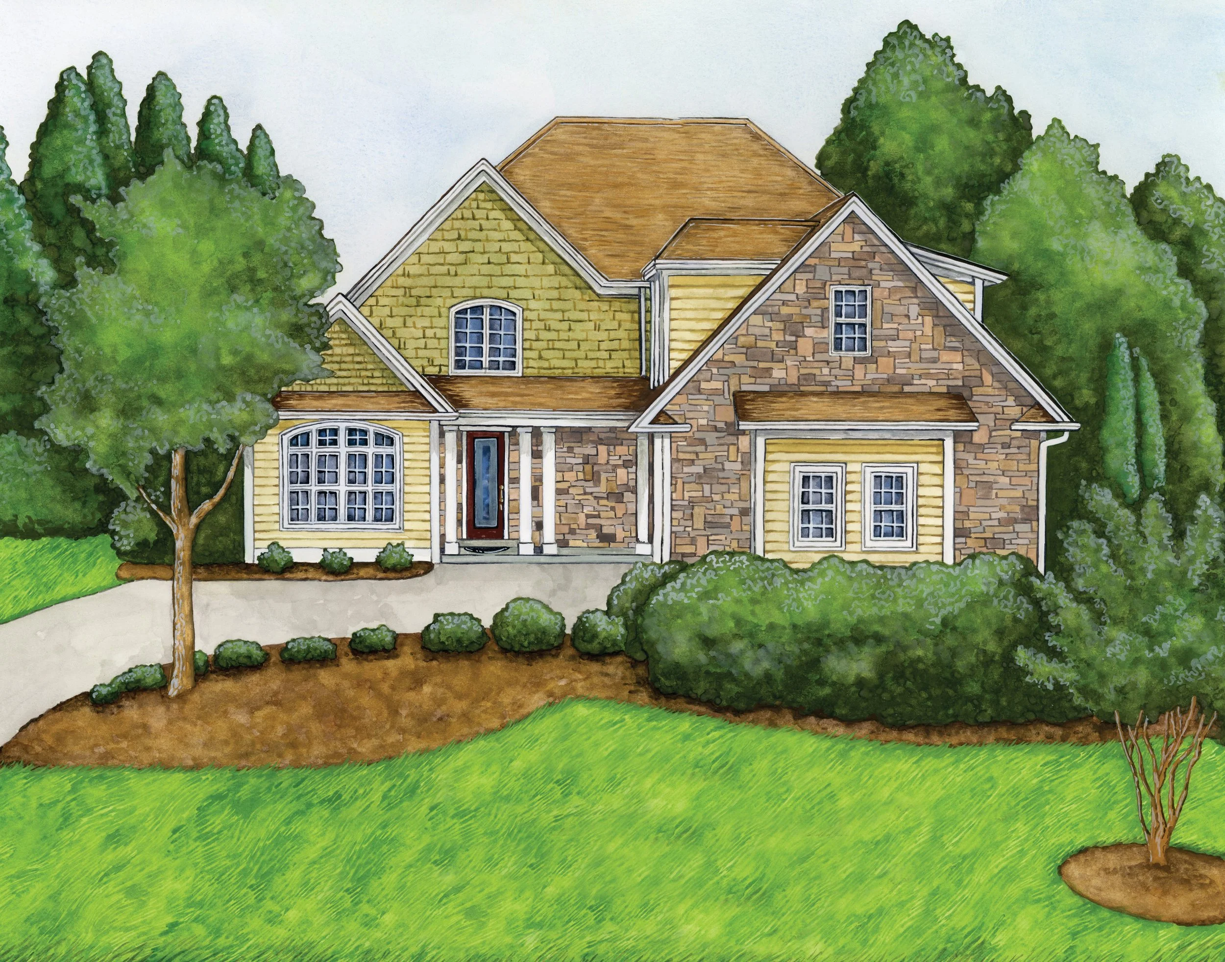 portfolio — Sofia Lenore Watercolors