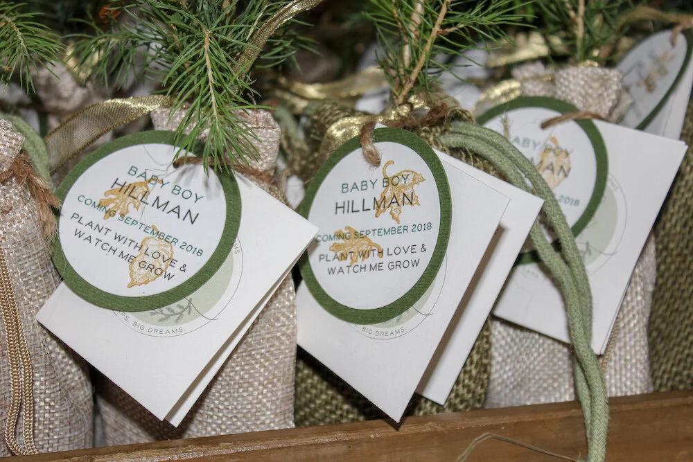 Why Tree Seedlings are Perfect Party Favors