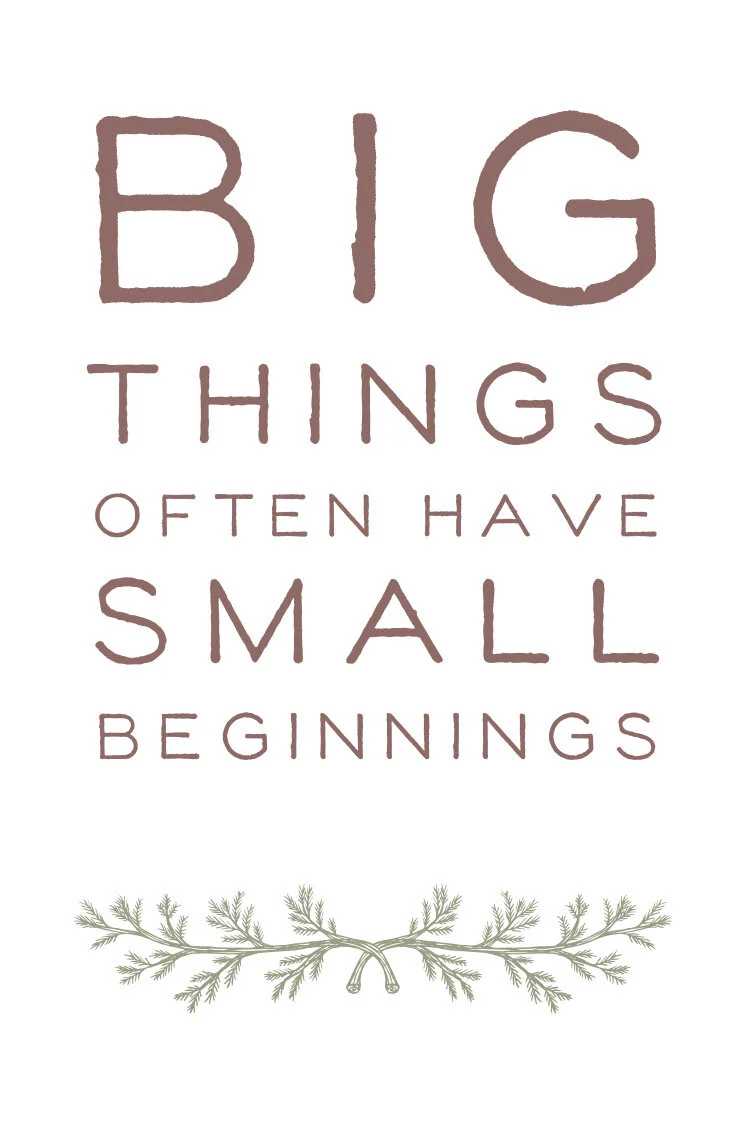 Give a Gift That Grows — Little Saps - Gift Trees