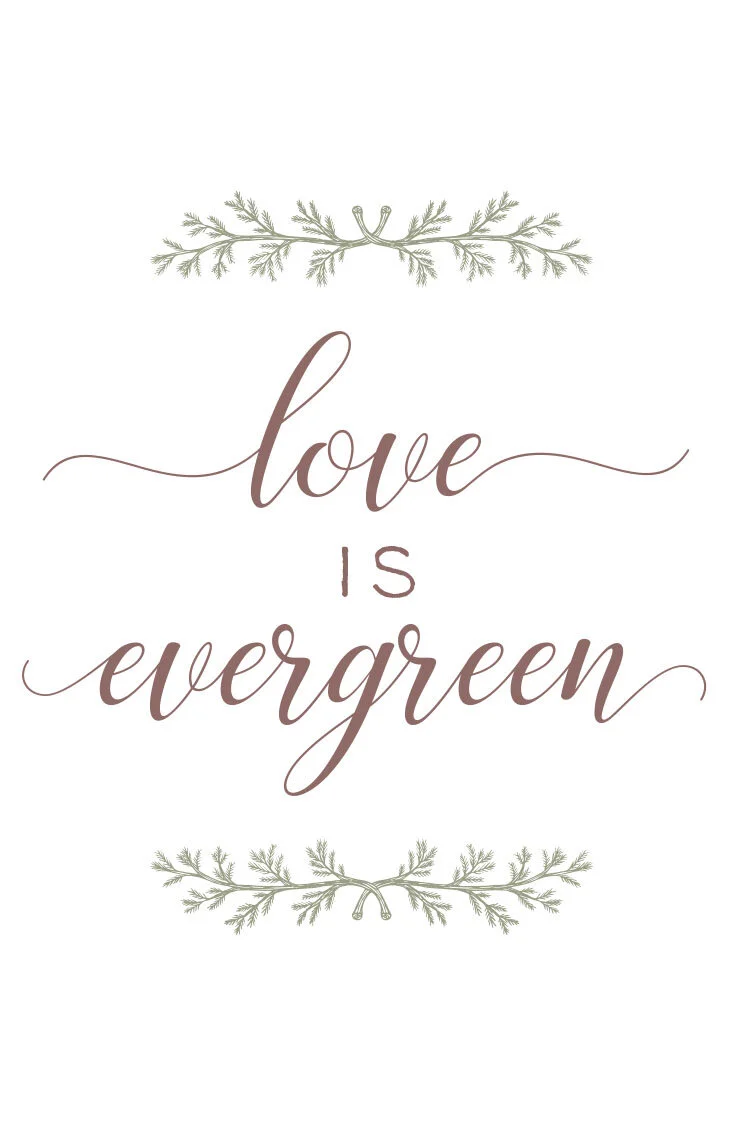 Give a Gift That Grows — Little Saps - Gift Trees