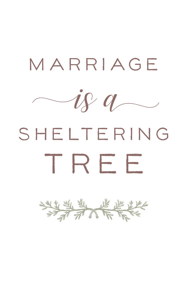 Give a Gift That Grows — Little Saps - Gift Trees